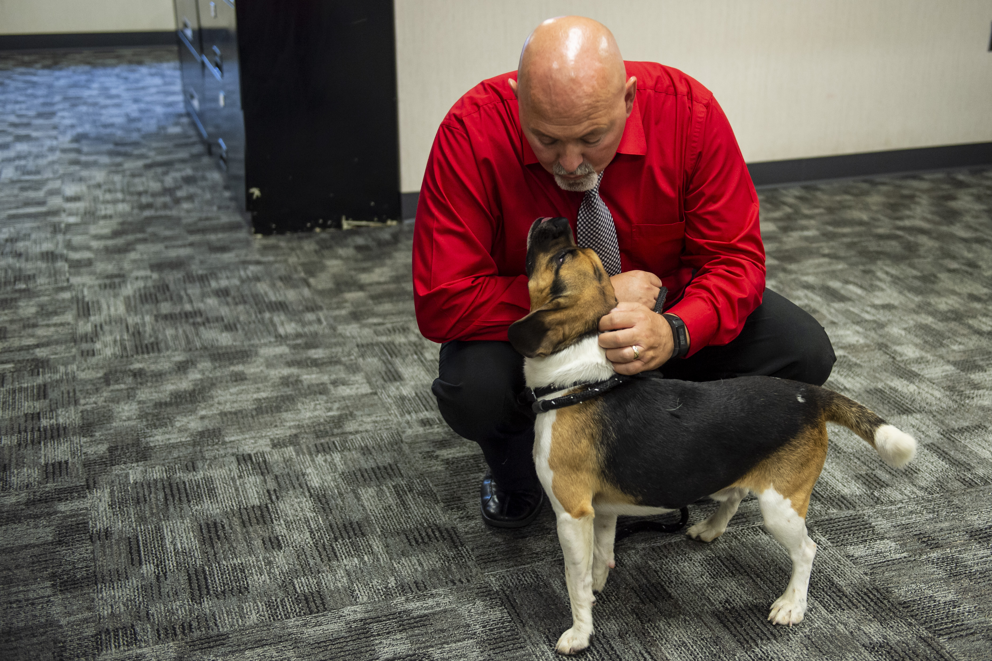 Bangor Township Hall takes advantage of hosting dogs in dog exchange ...