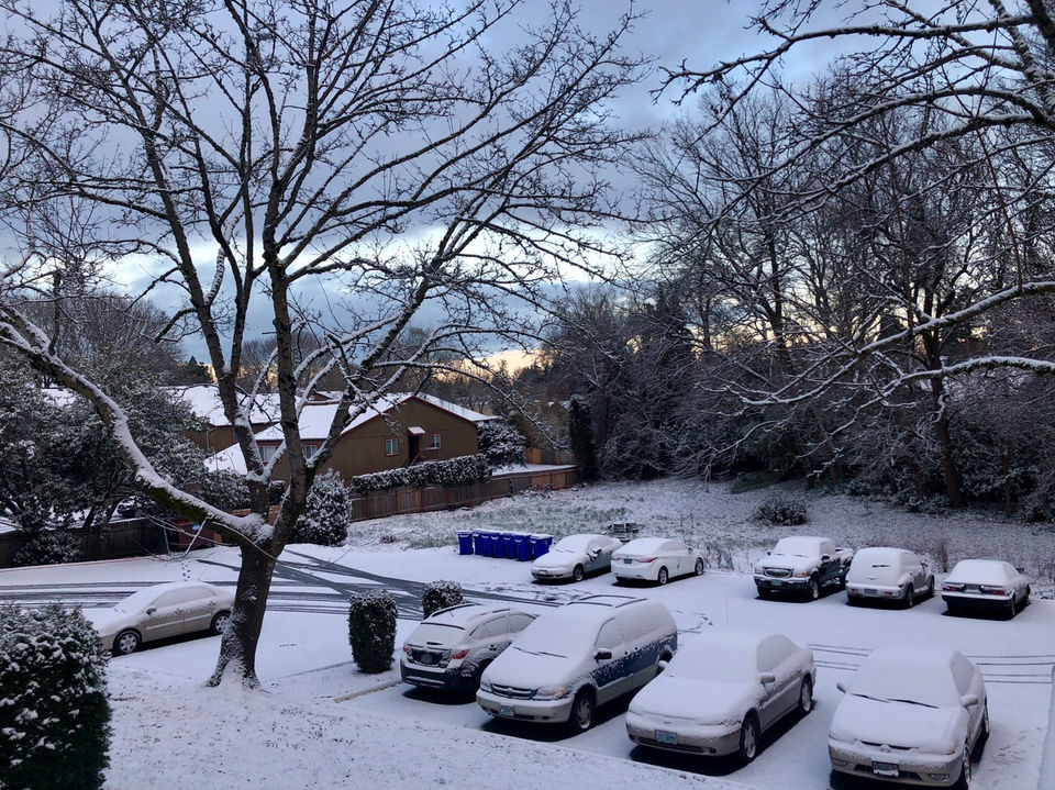 Photos: Portland wakes up to snow - oregonlive.com