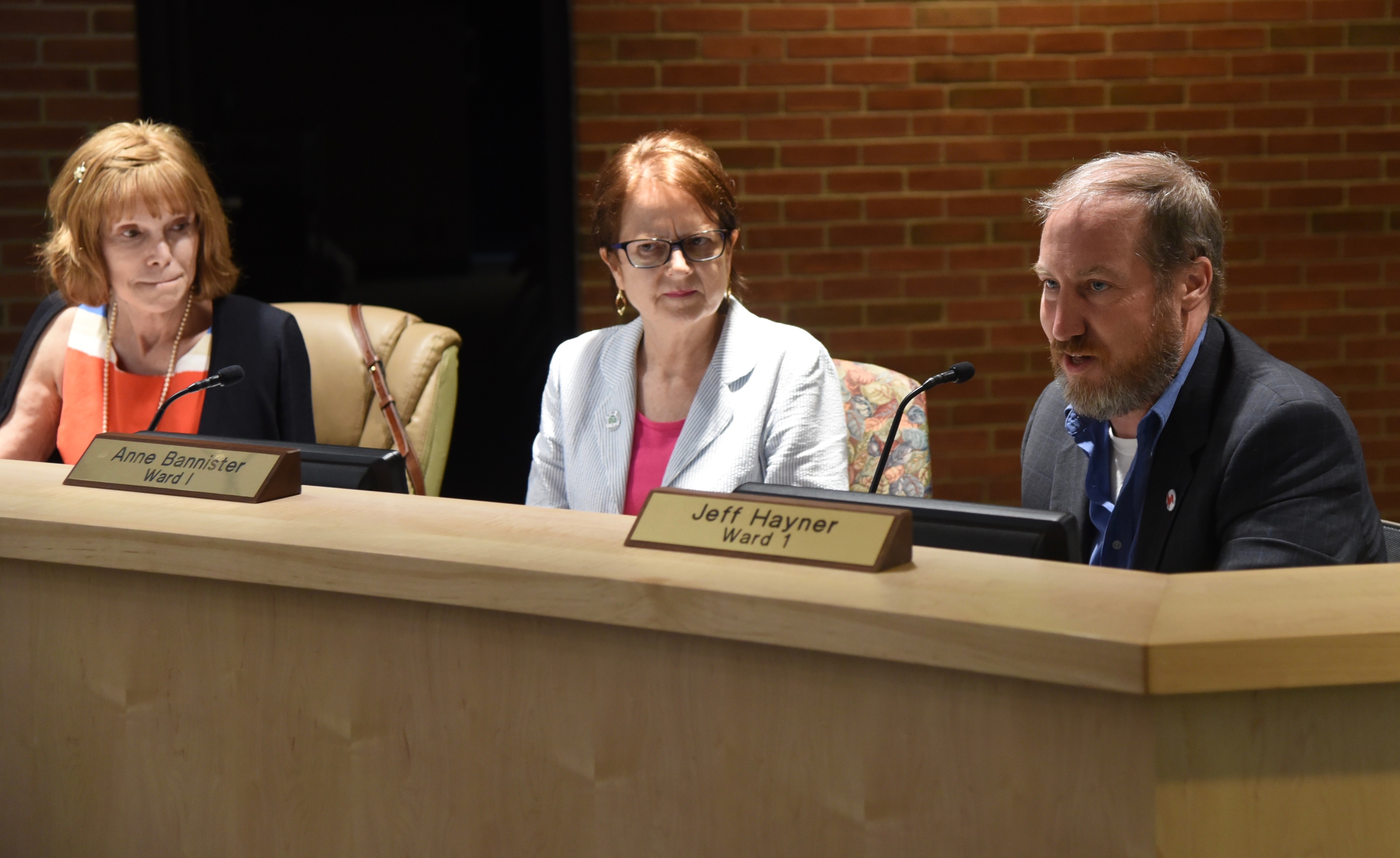Ann Arbor City Council meeting on July 15, 2019 - mlive.com