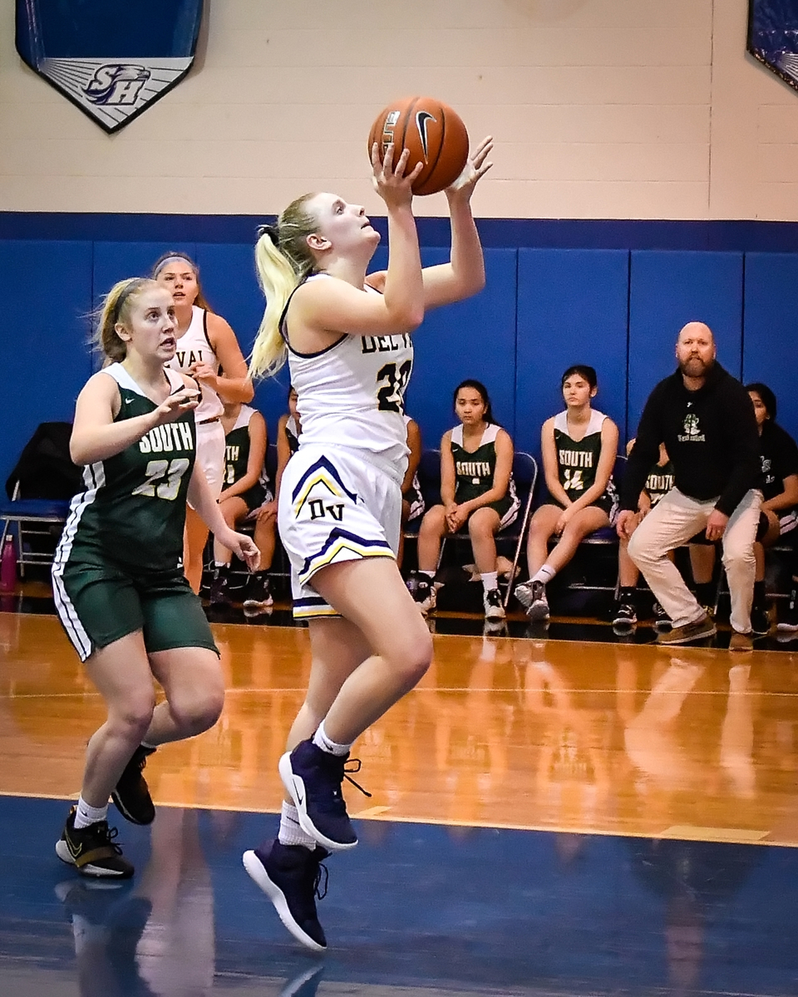 Girls Basketball: Delaware Valley vs. West Windsor-Plainsboro South on ...