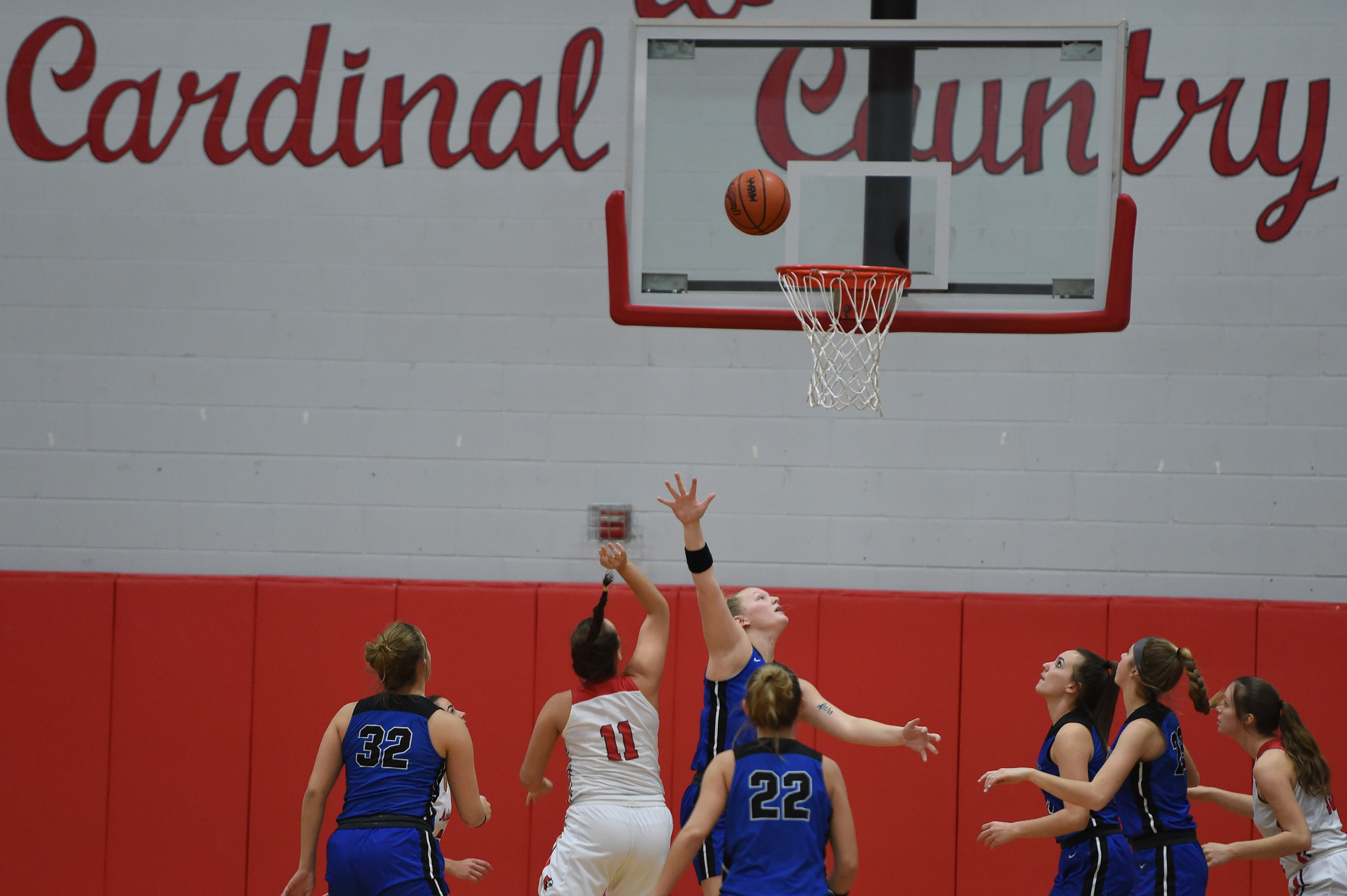Alana Nelson breaks Springport girls basketball records - mlive.com