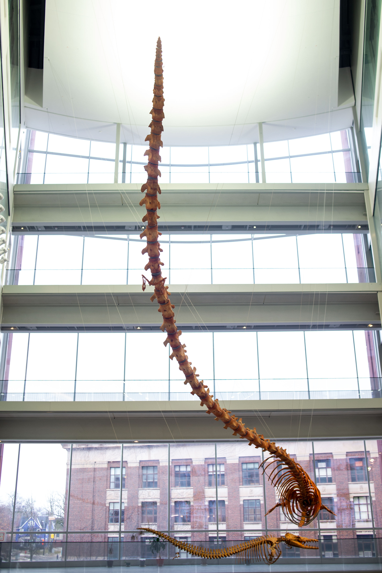 UM Museum of Natural History Tour - mlive.com