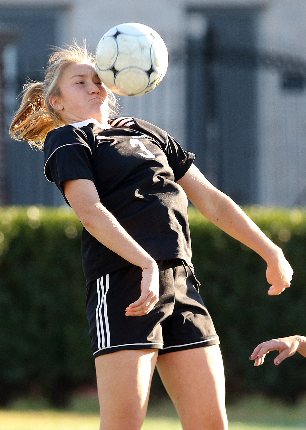 Girls Soccer: Haddonfield defeats Pinelands 5-0. Nov. 4, 2019 - nj.com