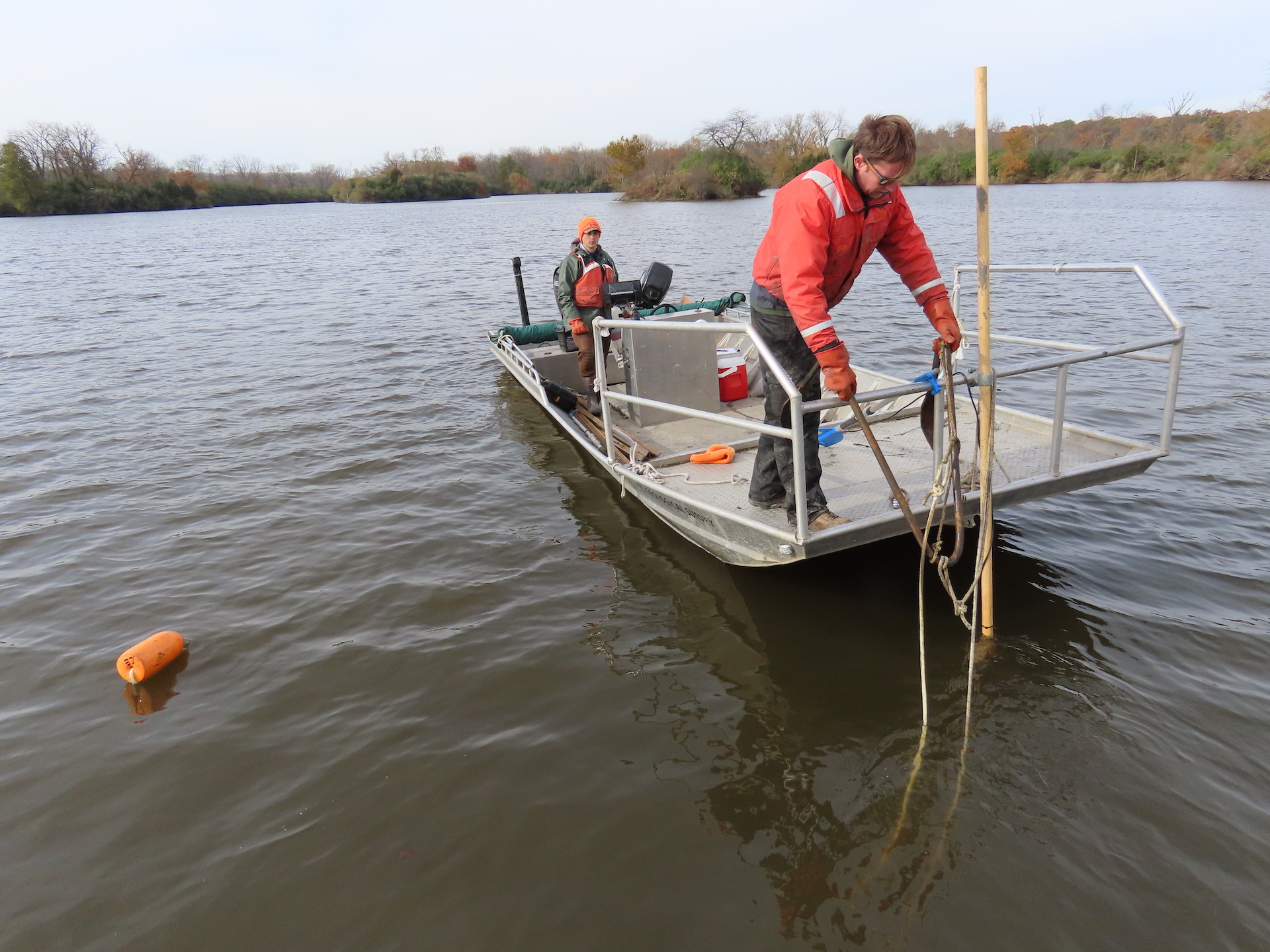 Asian carp control in Illinois - mlive.com