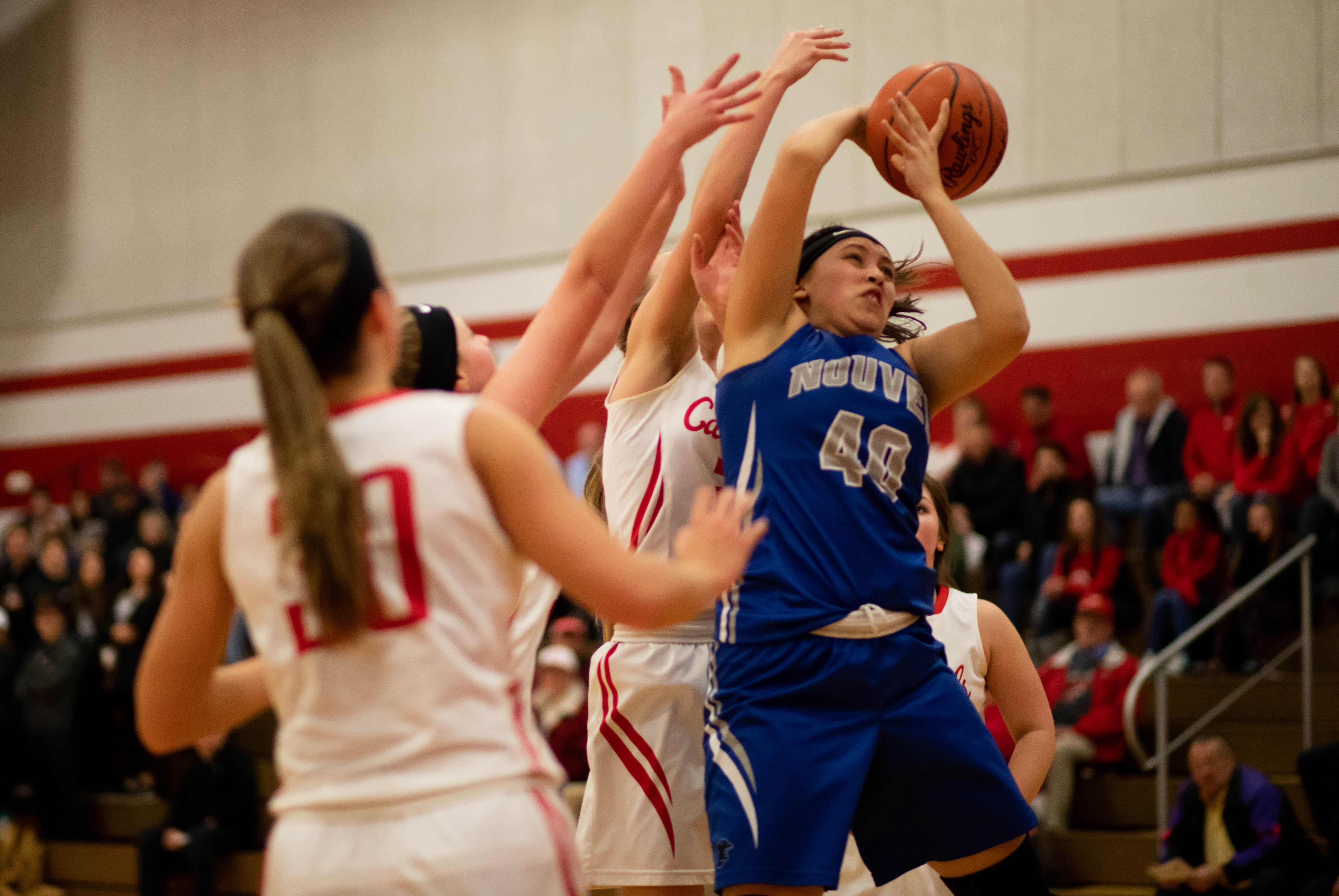 Michigan Lutheran Seminary defeats Saginaw Nouvel to advance in the ...