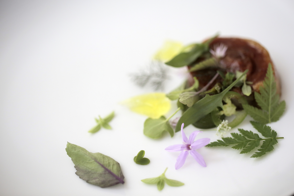 Castagna is a Michelin-star-worthy restaurant in Southeast Portland ...