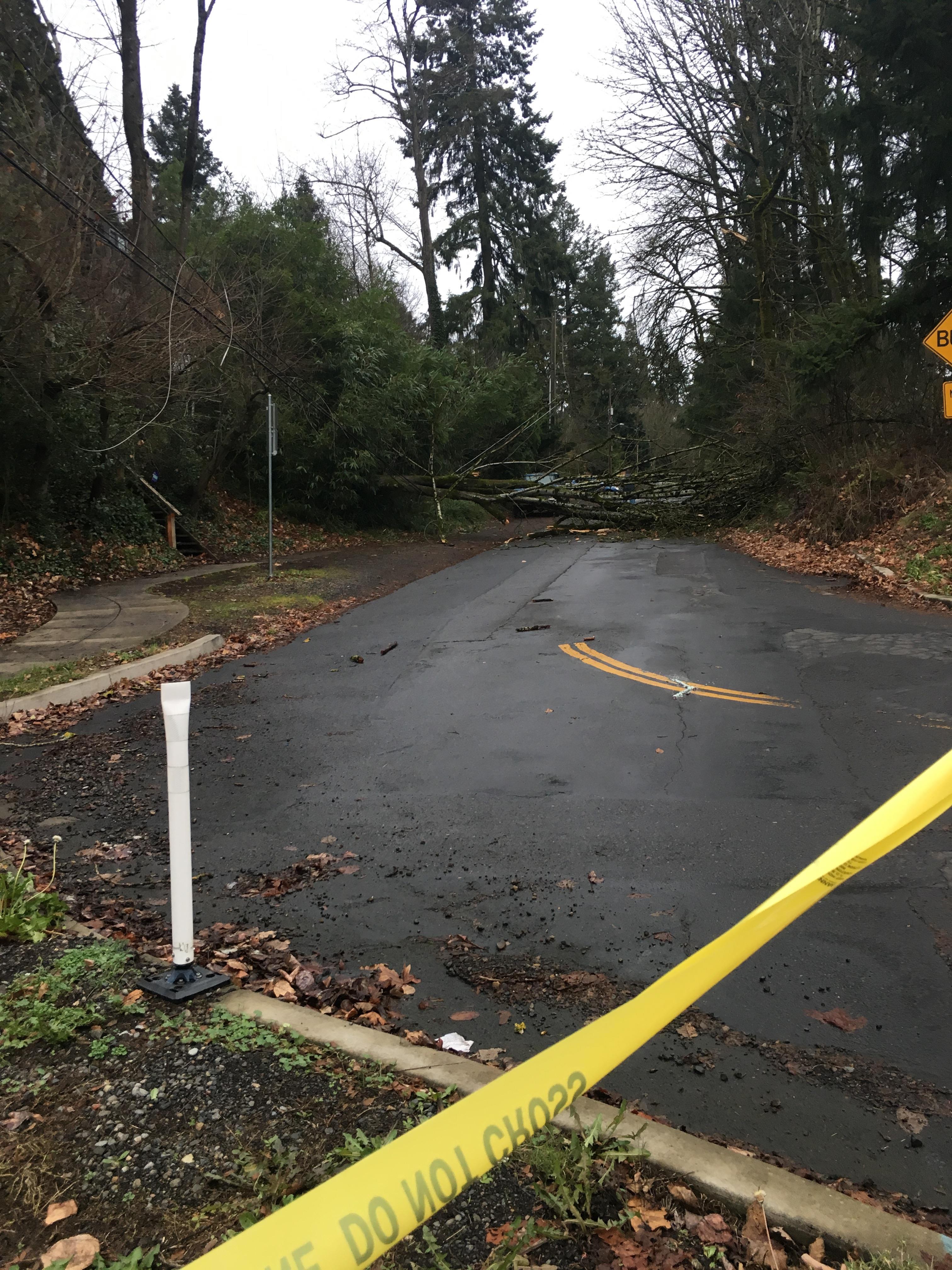 Windstorm aftermath, Portland, Jan. 6, 2019 - oregonlive.com