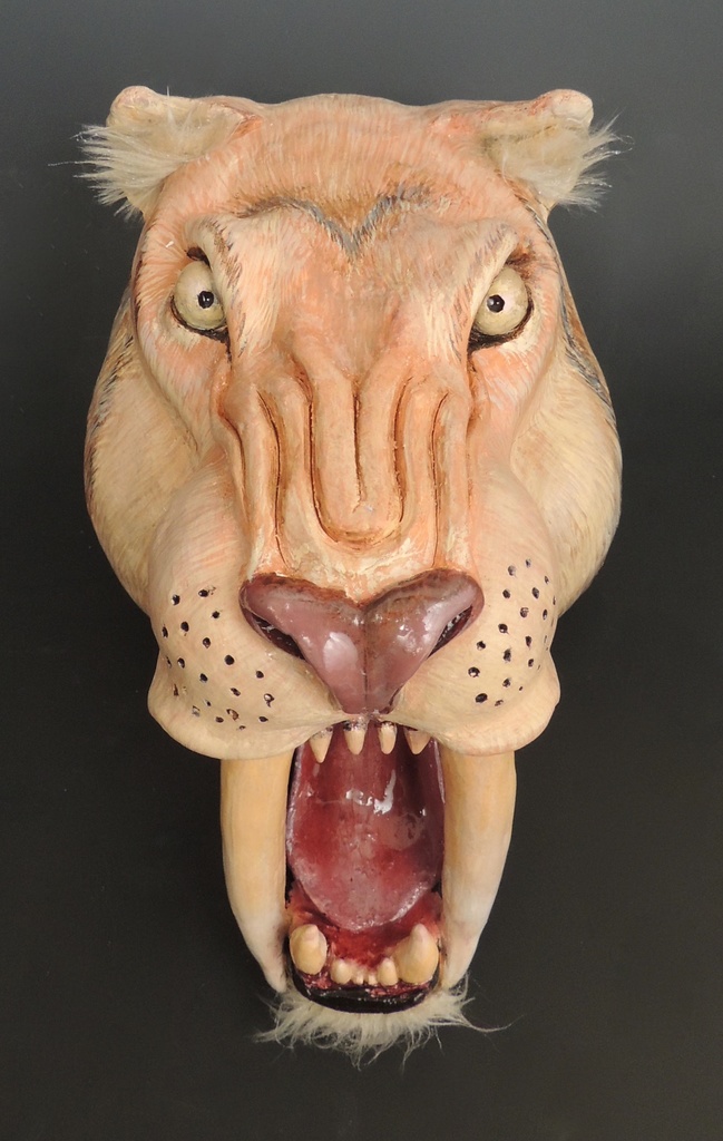 CNY Scholastic Art Awards 2020 - syracuse.com