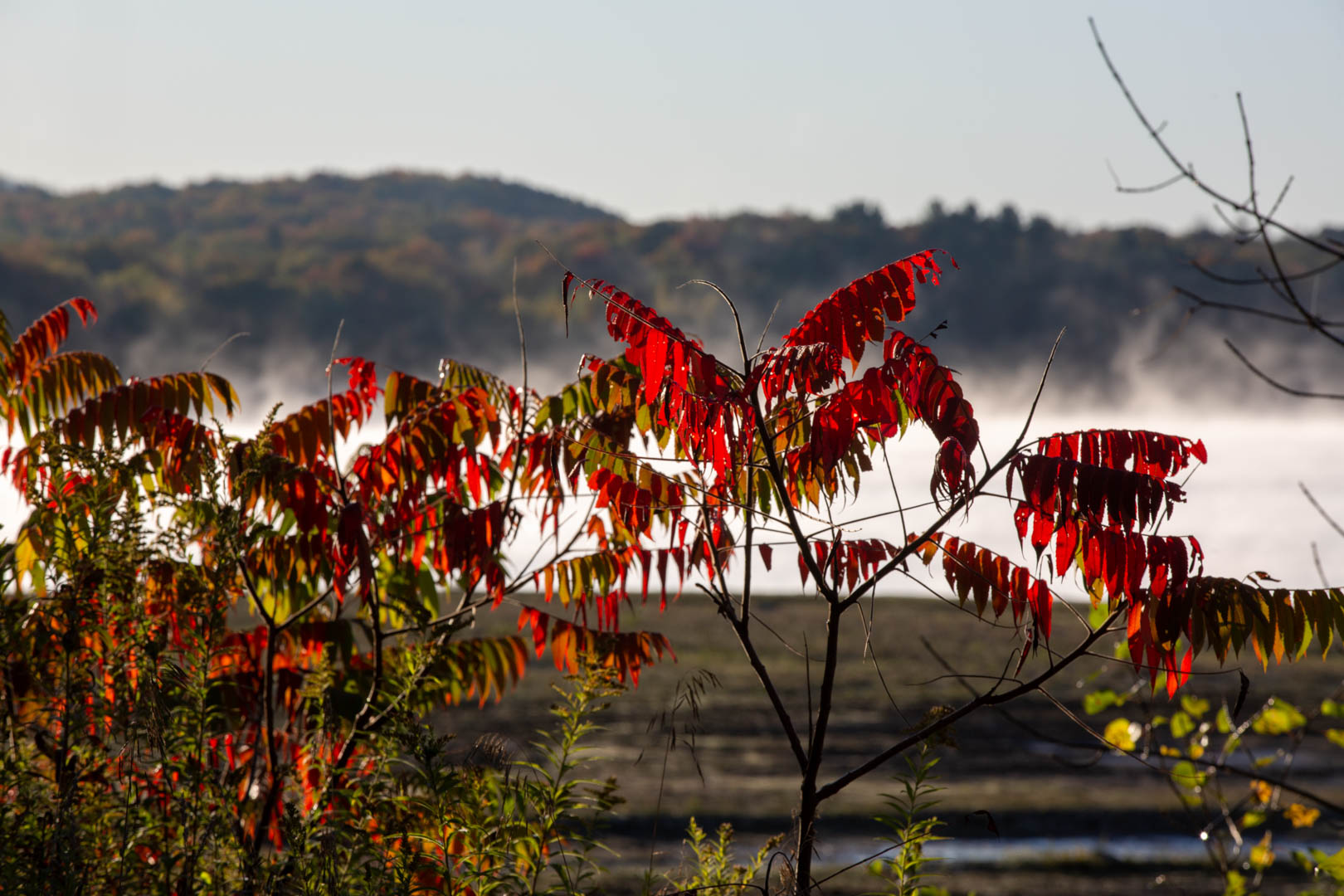 Peak colors explode in the Adirondacks - syracuse.com