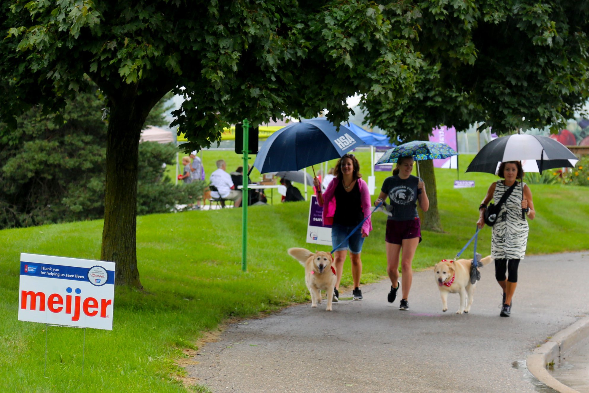 5K run with dogs helps raise funds to fight cancer - mlive.com