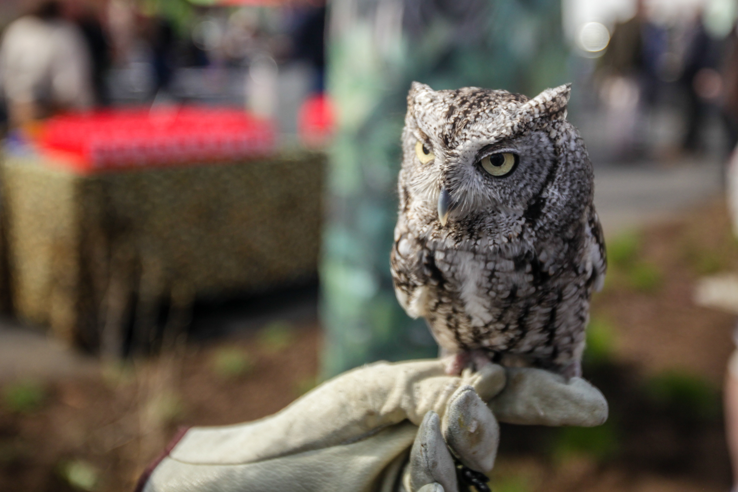 Philadelphia Zoo opens Creatures of Habitat exhibit and Zoo Key ...