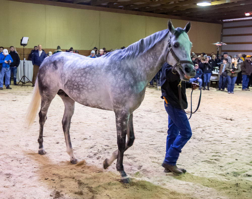 Rally to save horse racing in Pennsylvania - pennlive.com