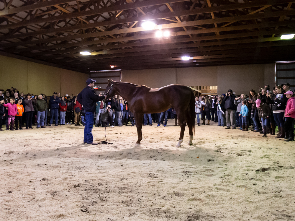 Rally to save horse racing in Pennsylvania - pennlive.com