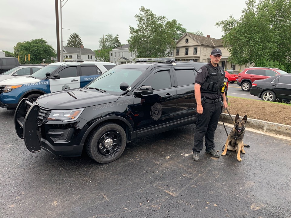Chicopee Police expand K9 unit - masslive.com
