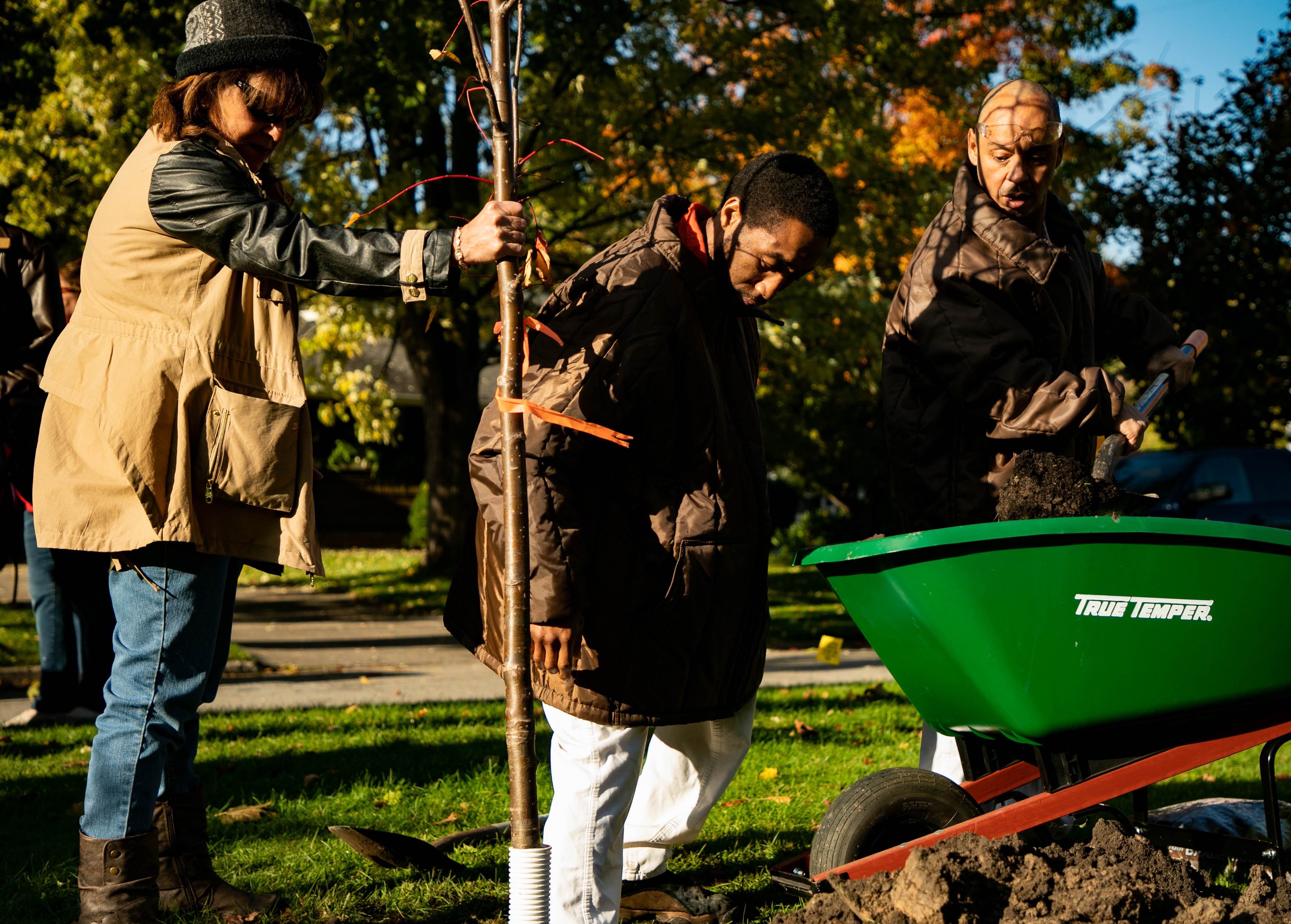 Tree planting on Adams Boulevard - mlive.com