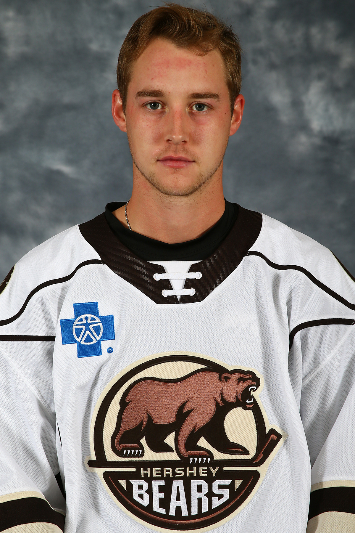 The 2019-20 Hershey Bears - pennlive.com