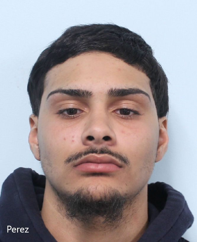 Springfield police arrest 4 on cocaine and firearm-related charges ...