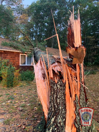 Photos show widespread storm damage across Massachusetts - masslive.com