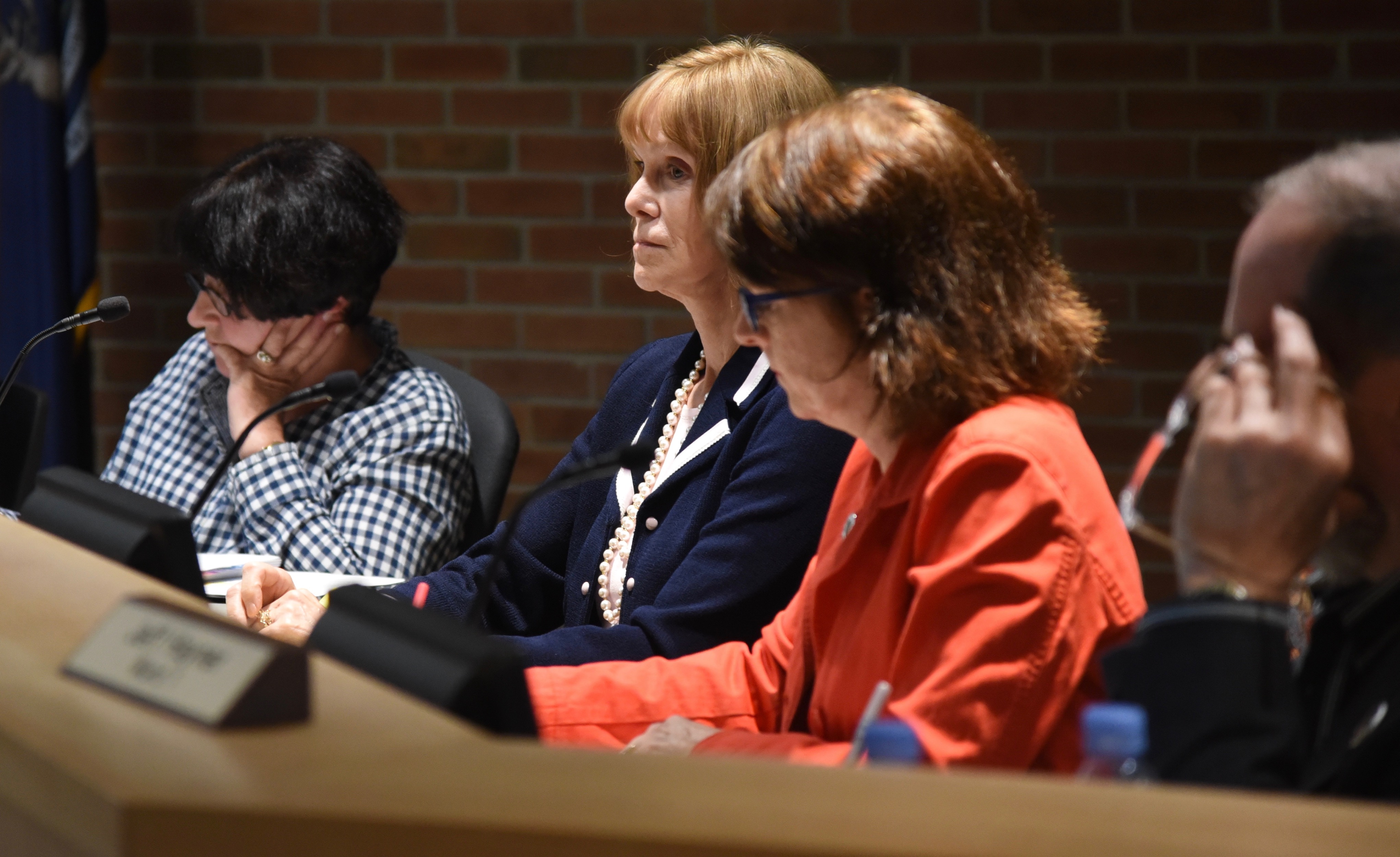 Ann Arbor City Council meeting on Aug. 5, 2019 - mlive.com