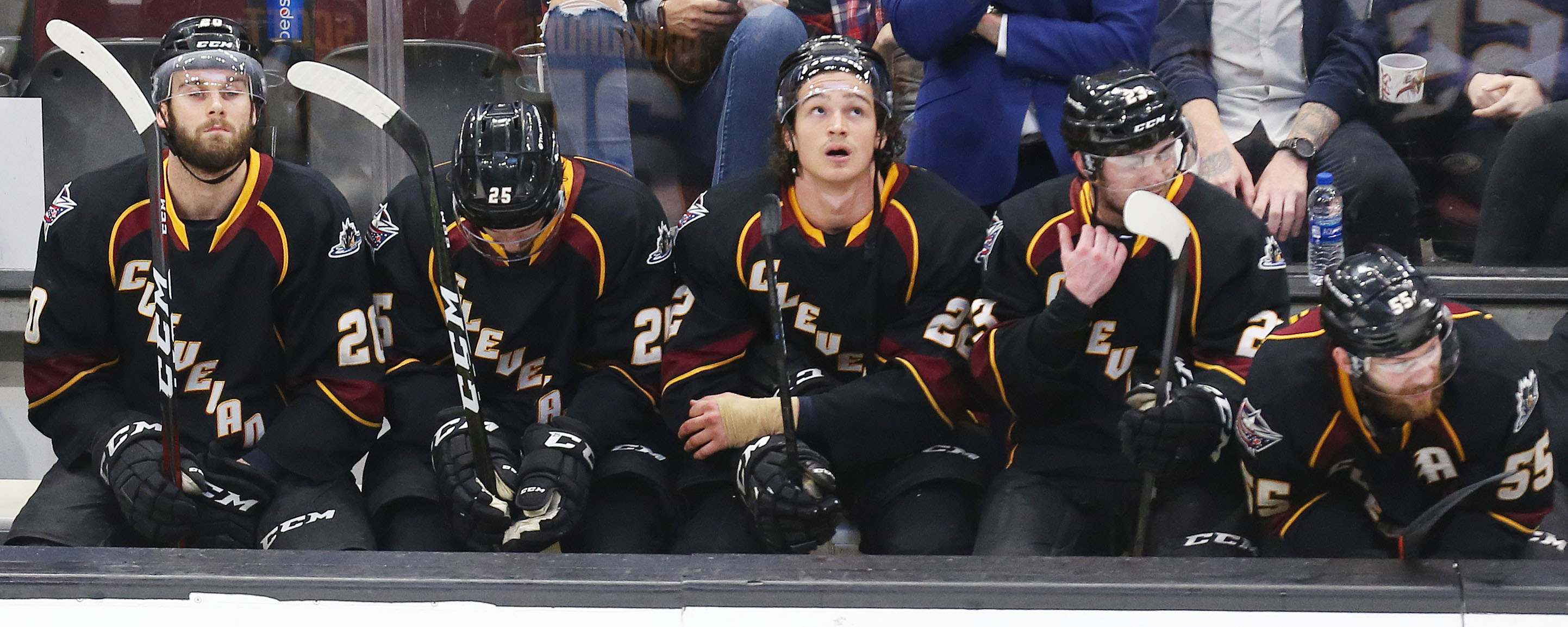 Cleveland Monsters vs. Toronto Marlies, game 4, May 7, 2019 - cleveland.com