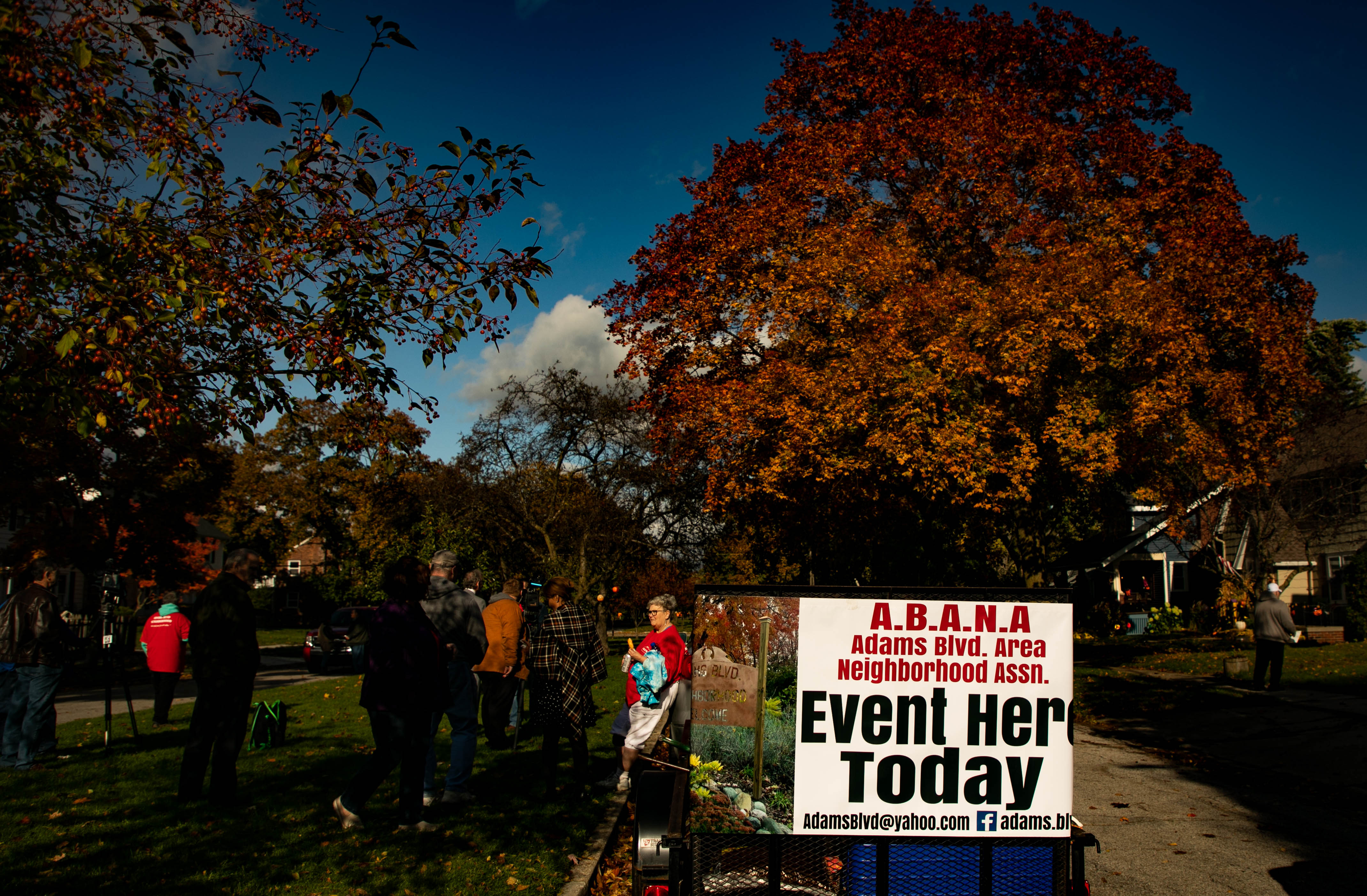 Tree planting on Adams Boulevard - mlive.com