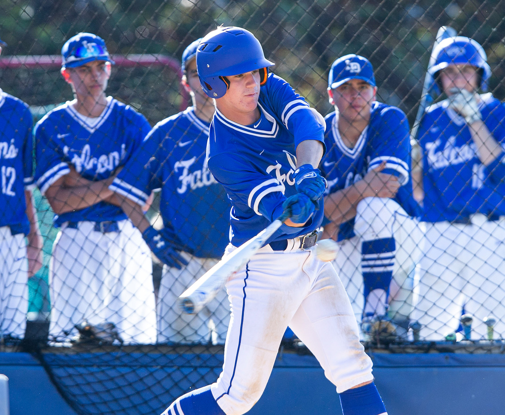 Lower Dauphin defeated Ephrata 11-0 in first round of D3-5A baseball ...