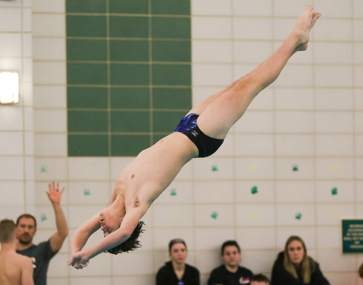 2020 NJSIAA Boys Diving Championship in Skillman on 2/26/2020 - nj.com