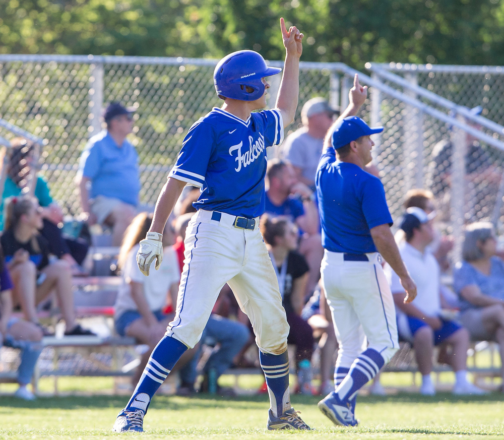 Lower Dauphin defeated Ephrata 11-0 in first round of D3-5A baseball ...