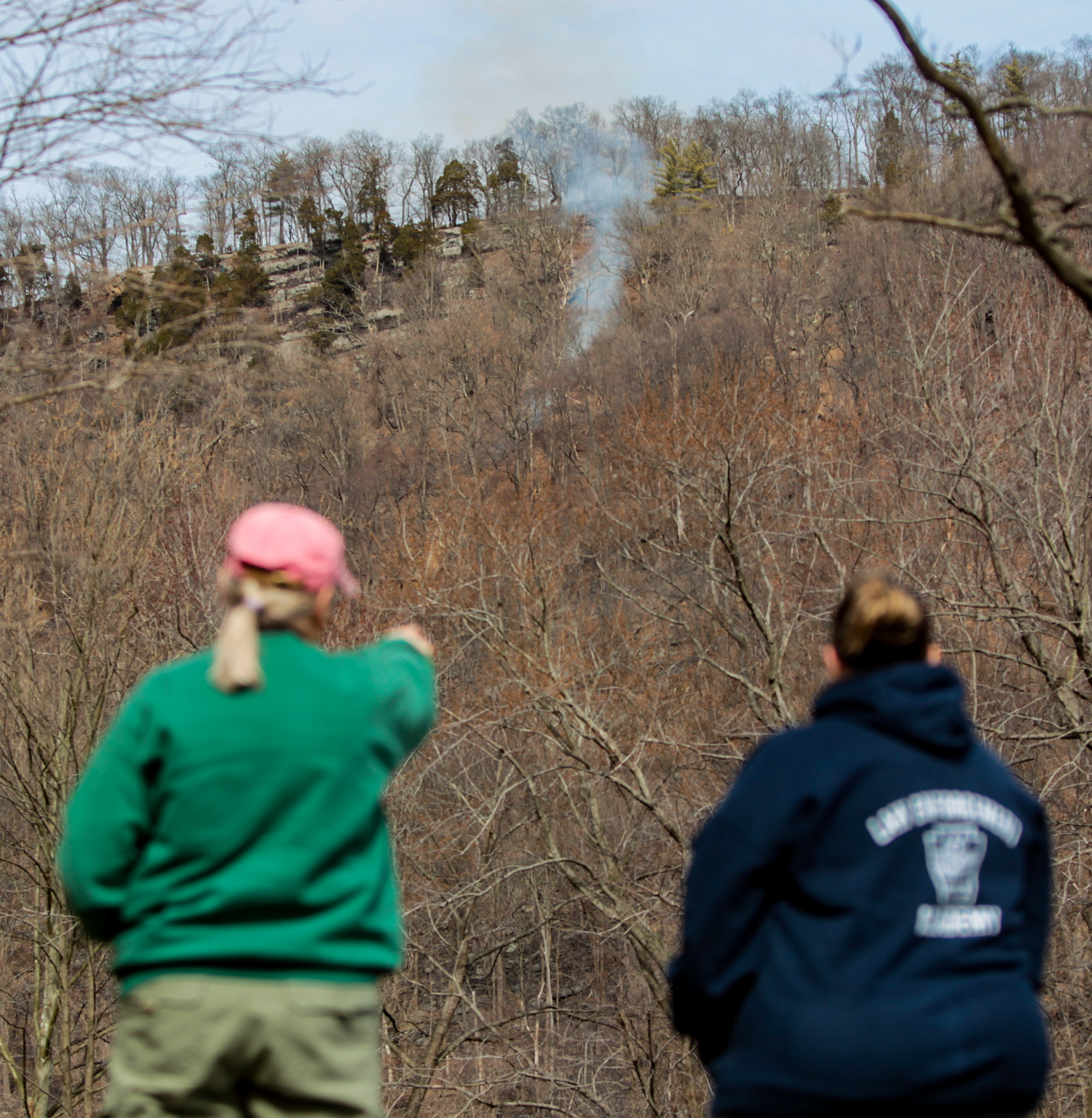 Delaware Water Gap forest fire Feb. 24, 2020 - pennlive.com