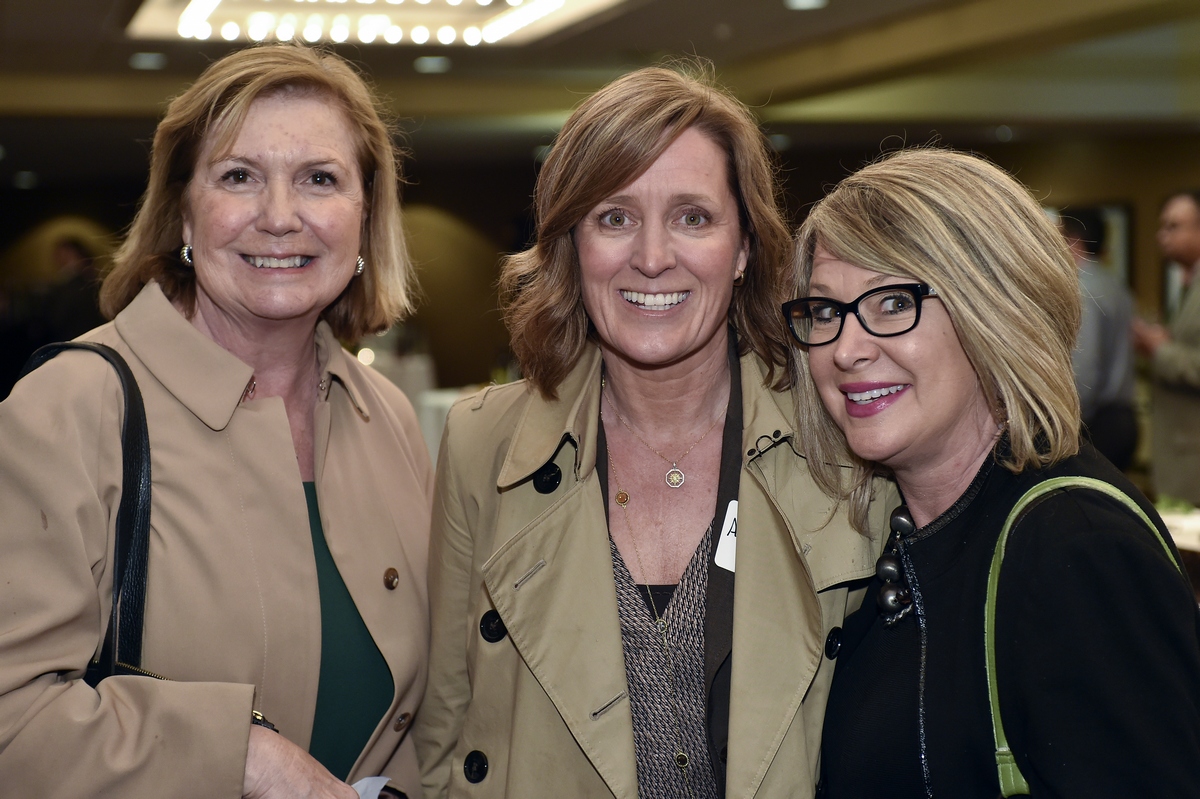 Seen@ Celebrate Springfield 8th Annual Dinner at the Springfield ...