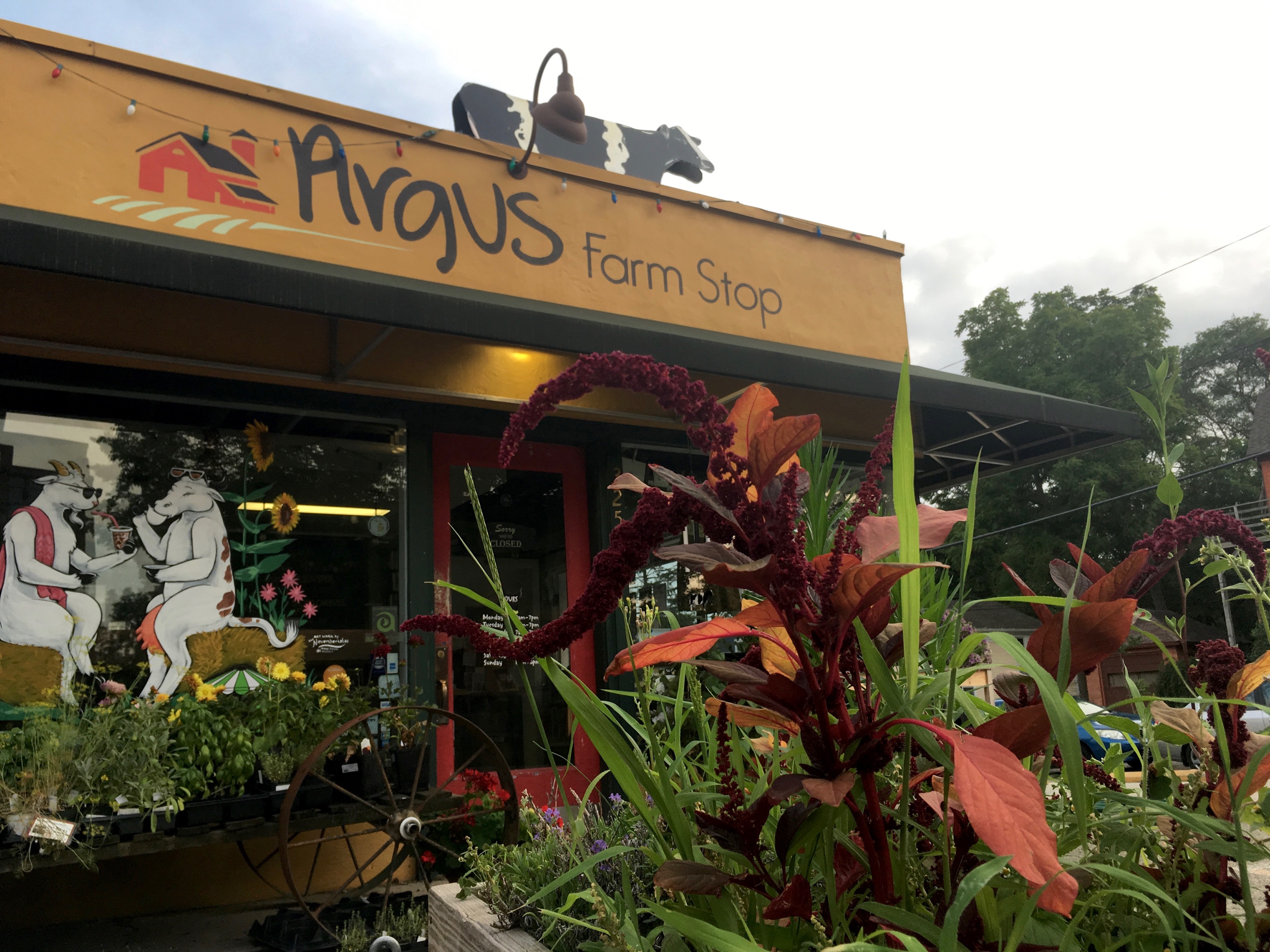Argus Farm Stop in Ann Arbor's Old West Side neighborhood - mlive.com