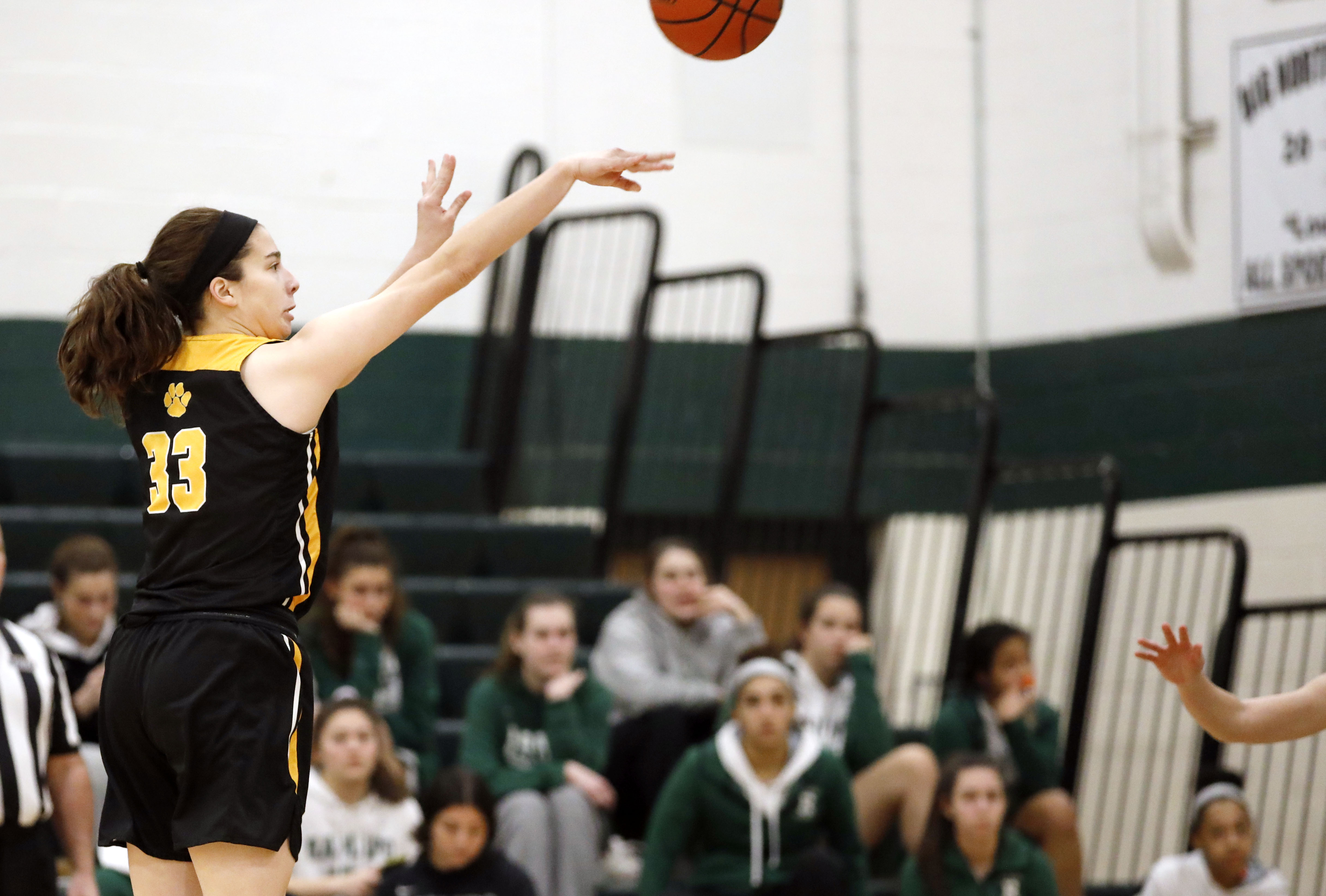 Girls Basketball: Cresskill defeats New Providence in North, Group 1 ...