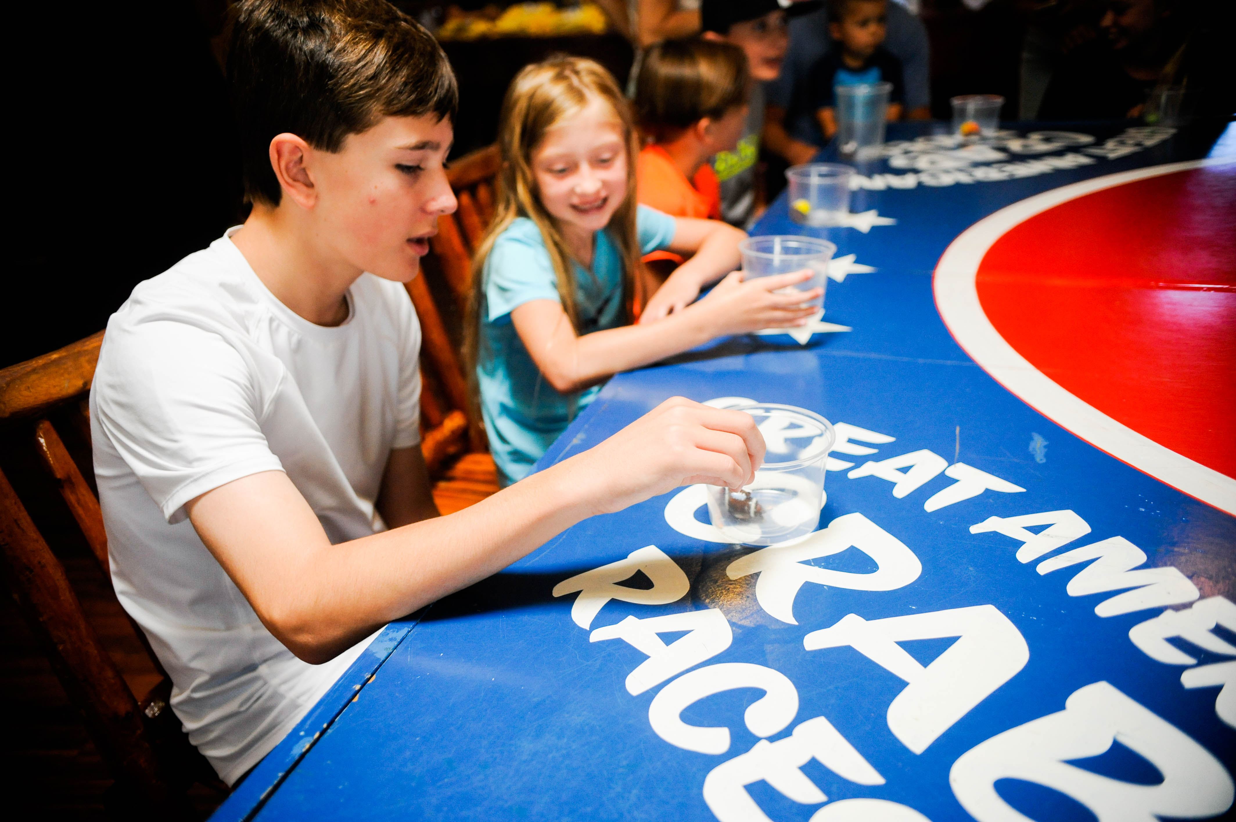 Crabs compete at the annual Great American Crab Races - mlive.com