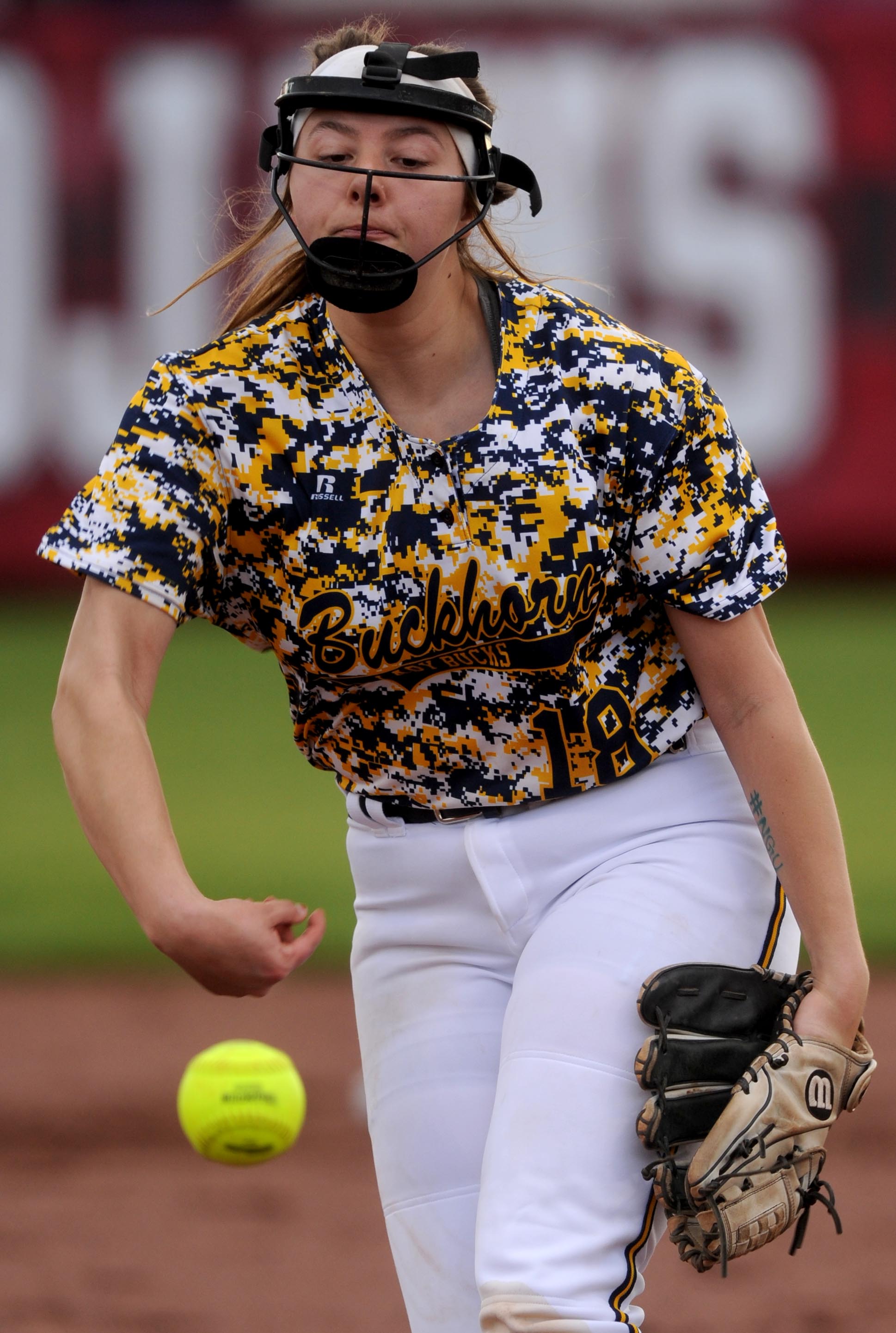 Buckhorn vs. Hazel Greensoftball - al.com