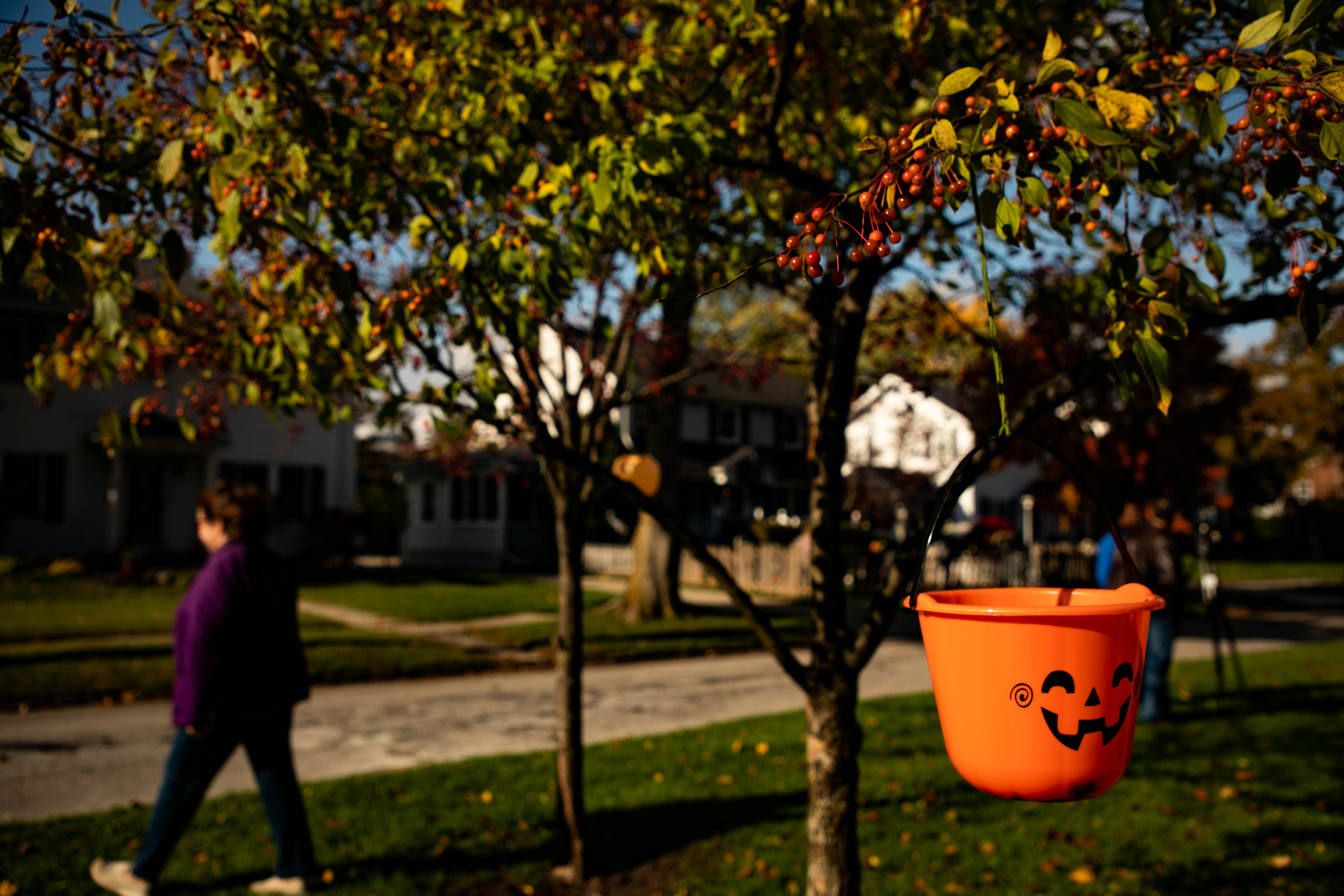 Tree planting on Adams Boulevard - mlive.com