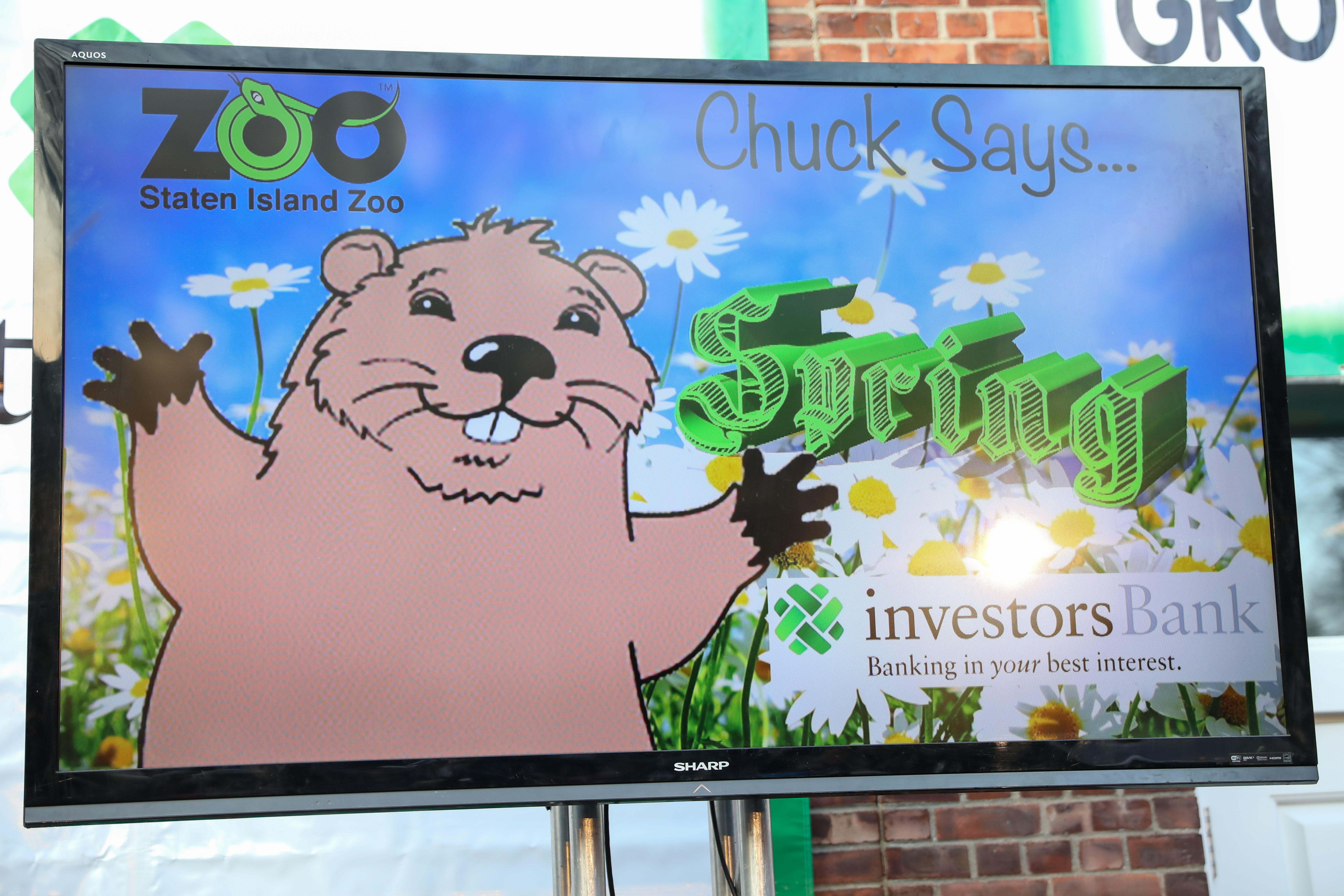 Groundhog day 2020: Staten Island Chuck makes his prediction - silive.com