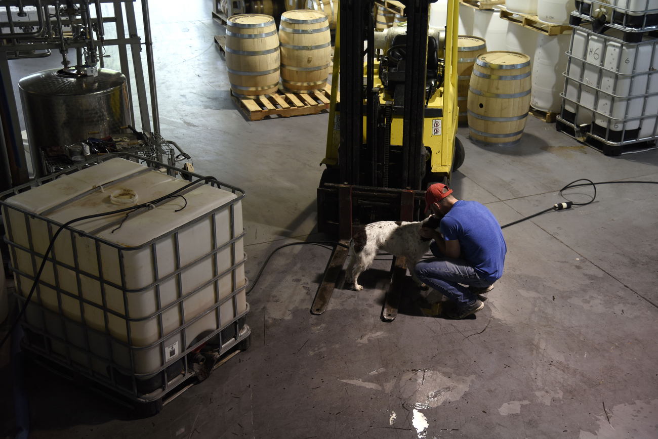 Ann Arbor Distillery Co. distills whiskey - mlive.com