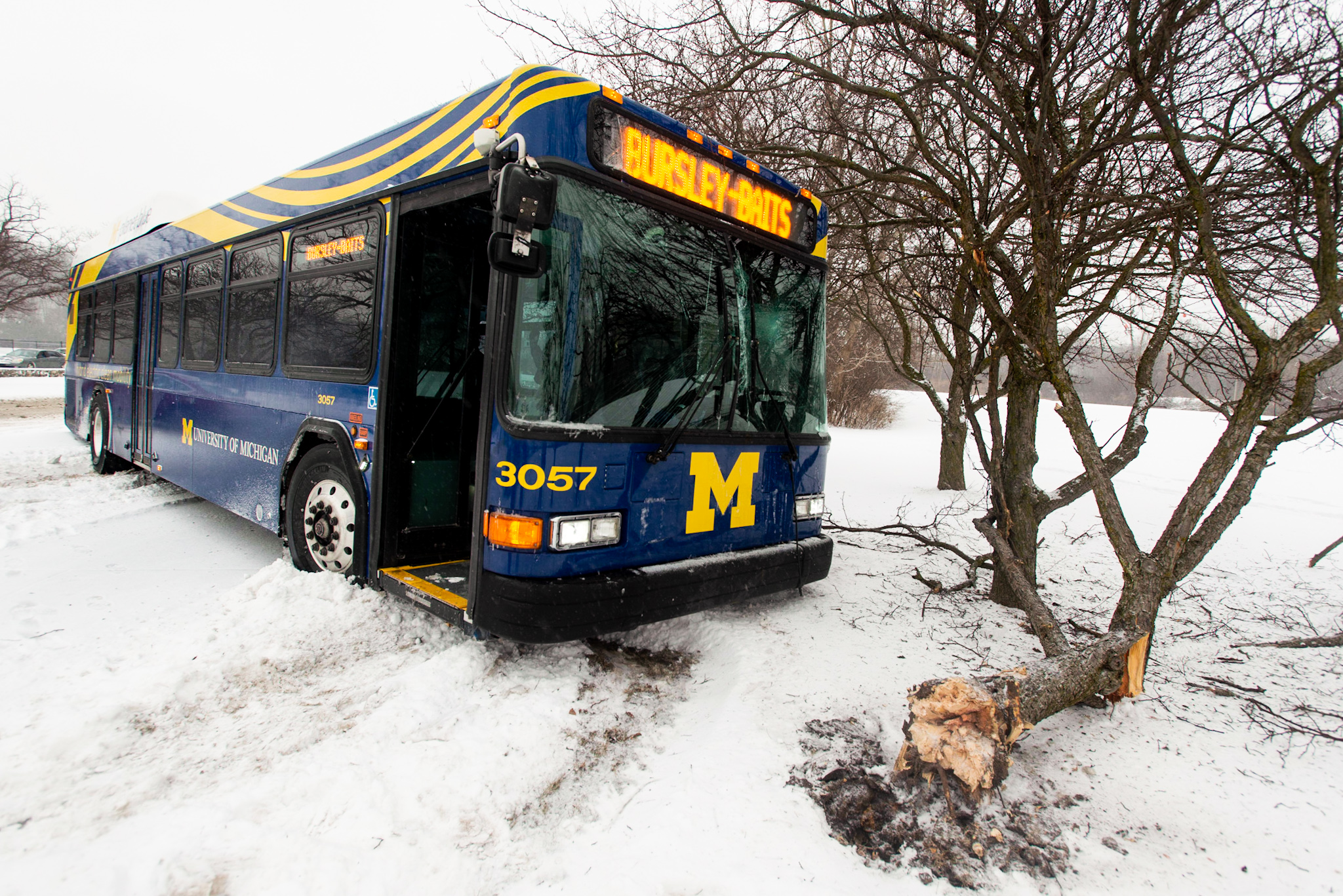 Snowstorm hits Ann Arbor Jan. 28 2019 - mlive.com