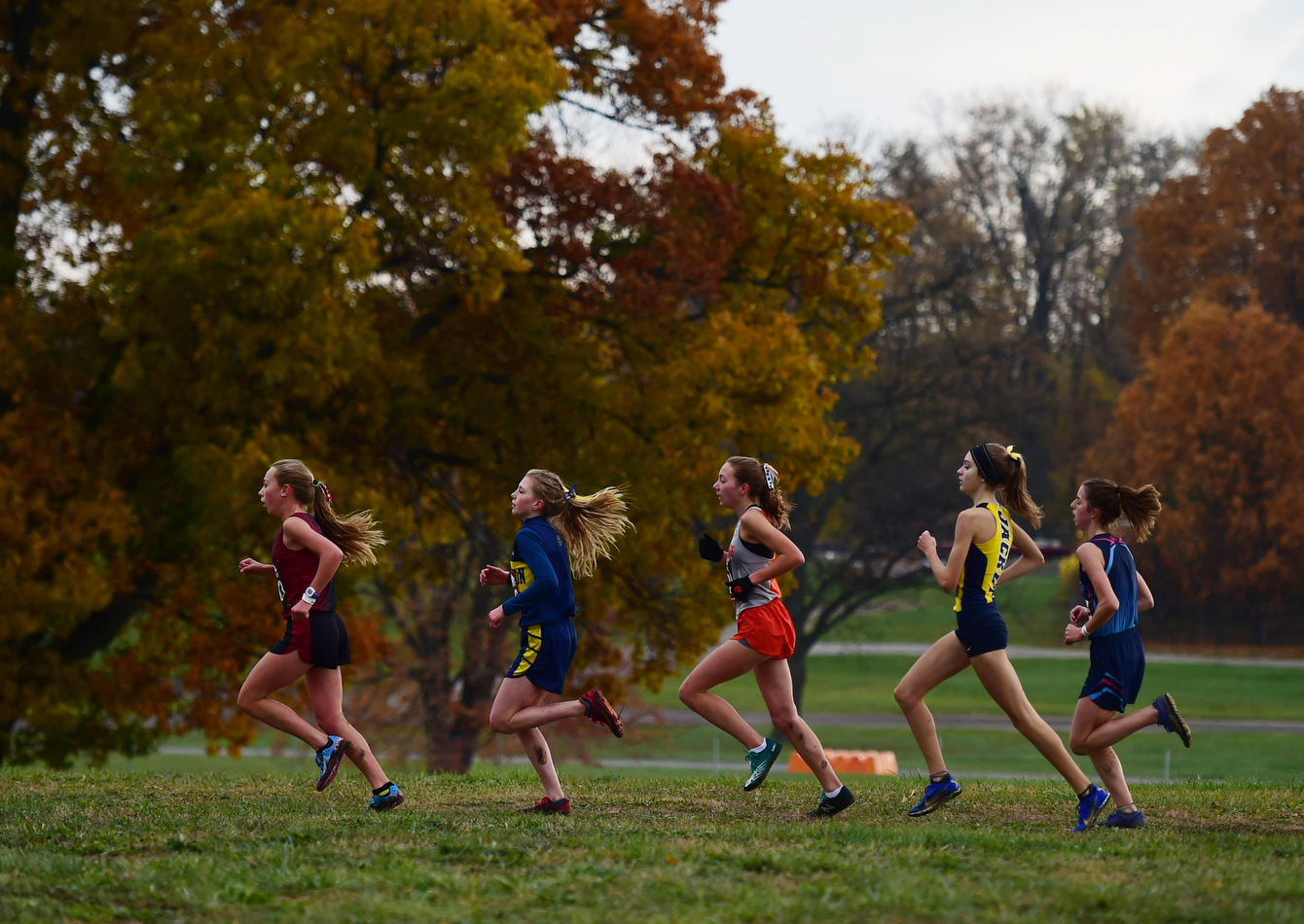 Our favorite 40 photos from the 2019 Michigan high school cross country ...