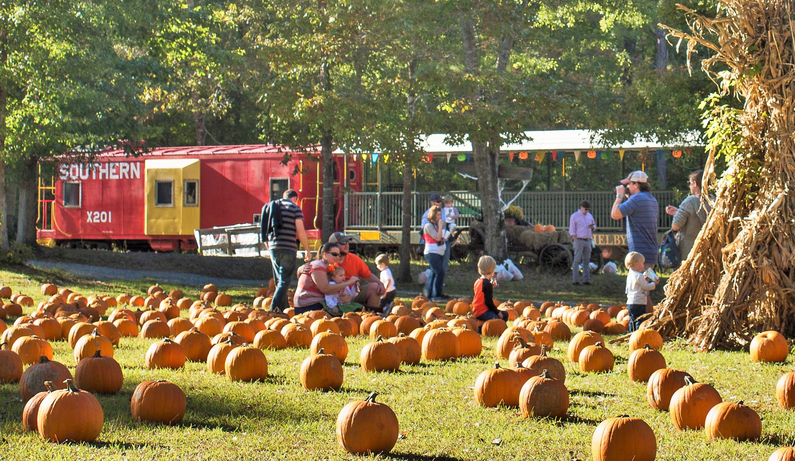 Pumpkin Patch Express in Calera - al.com