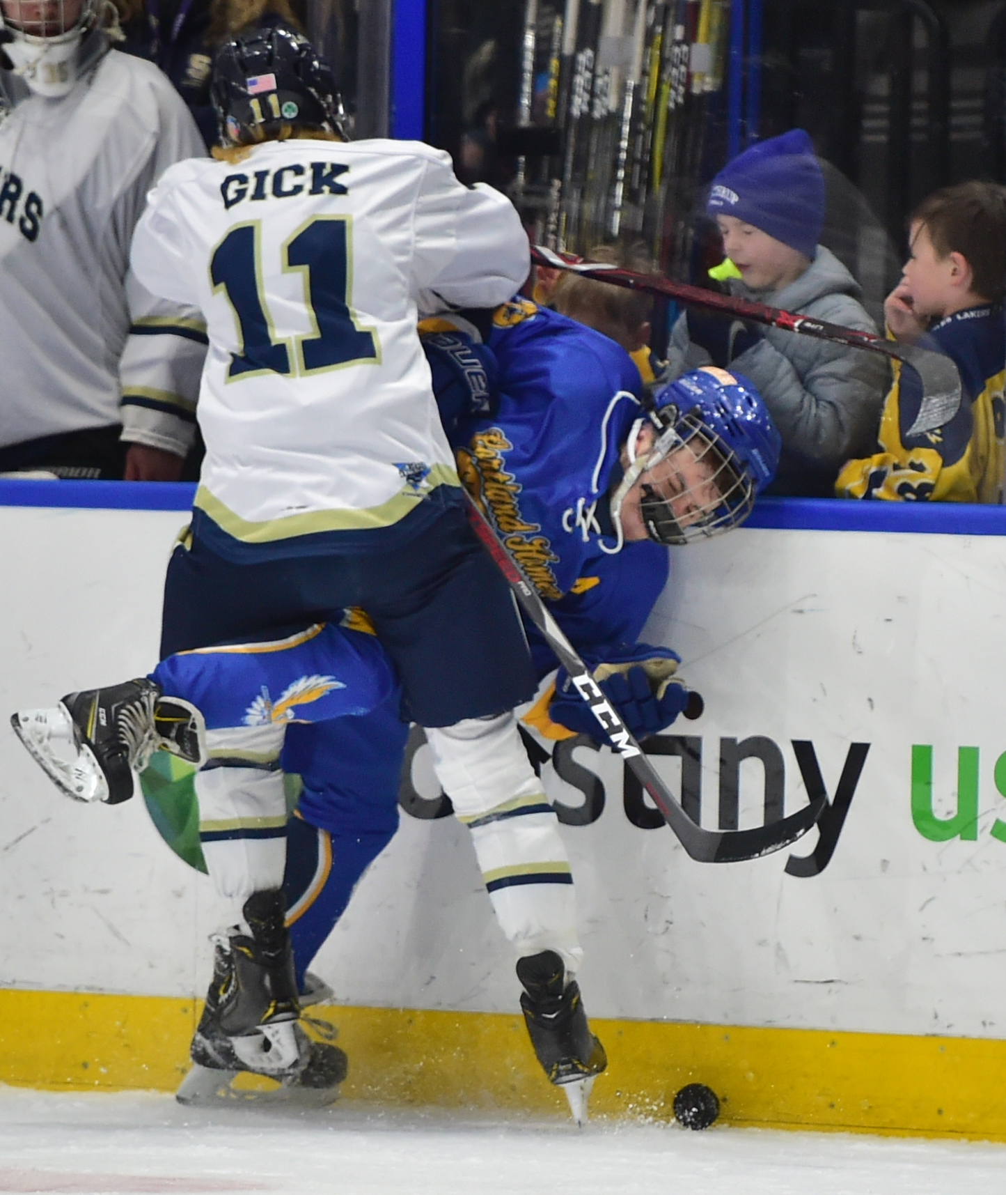 Section III Div. II hockey finals: Cortland-Homer vs. Skaneateles ...