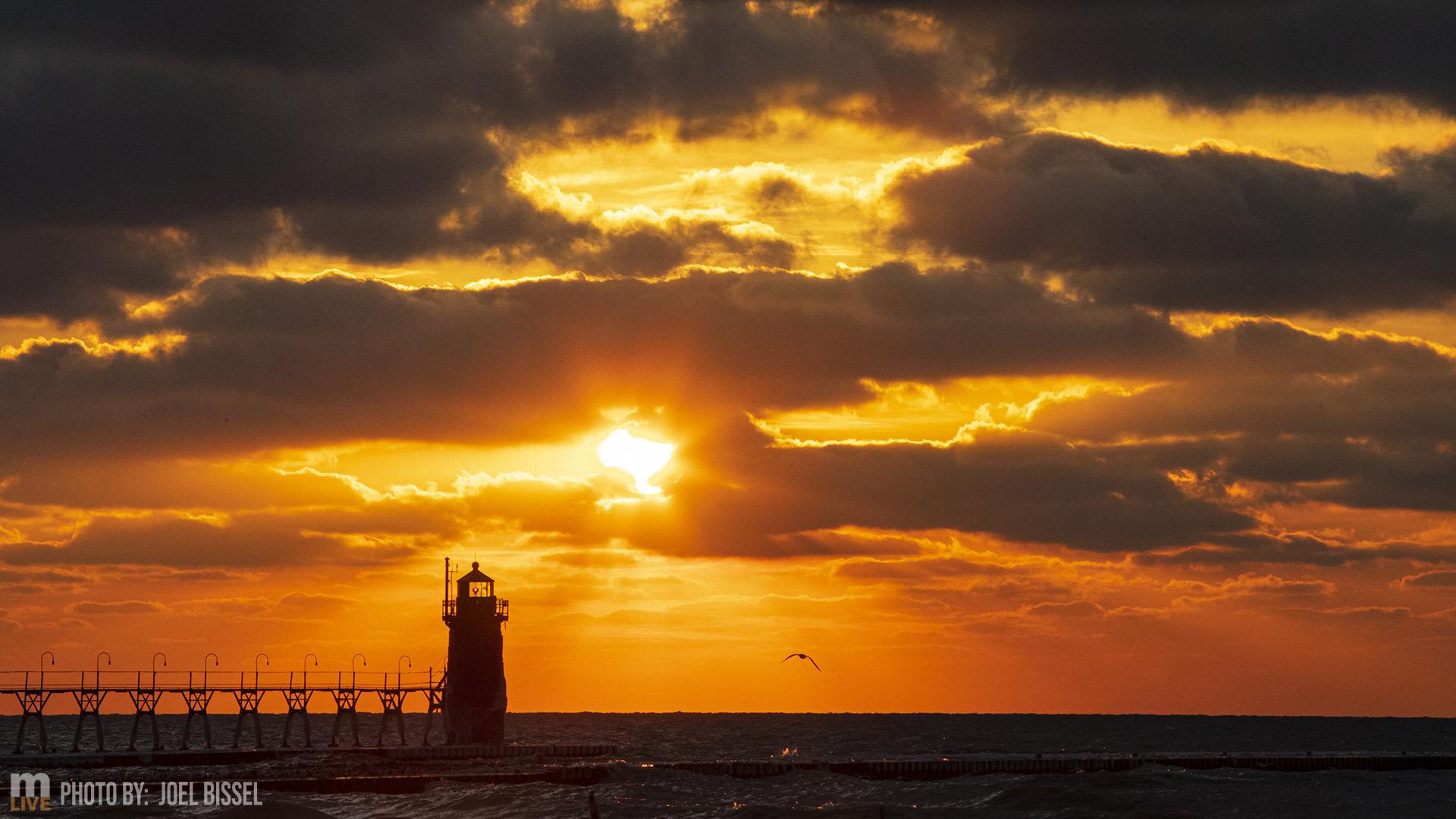 Custom Zoom backgrounds to show off your love for Michigan - mlive.com