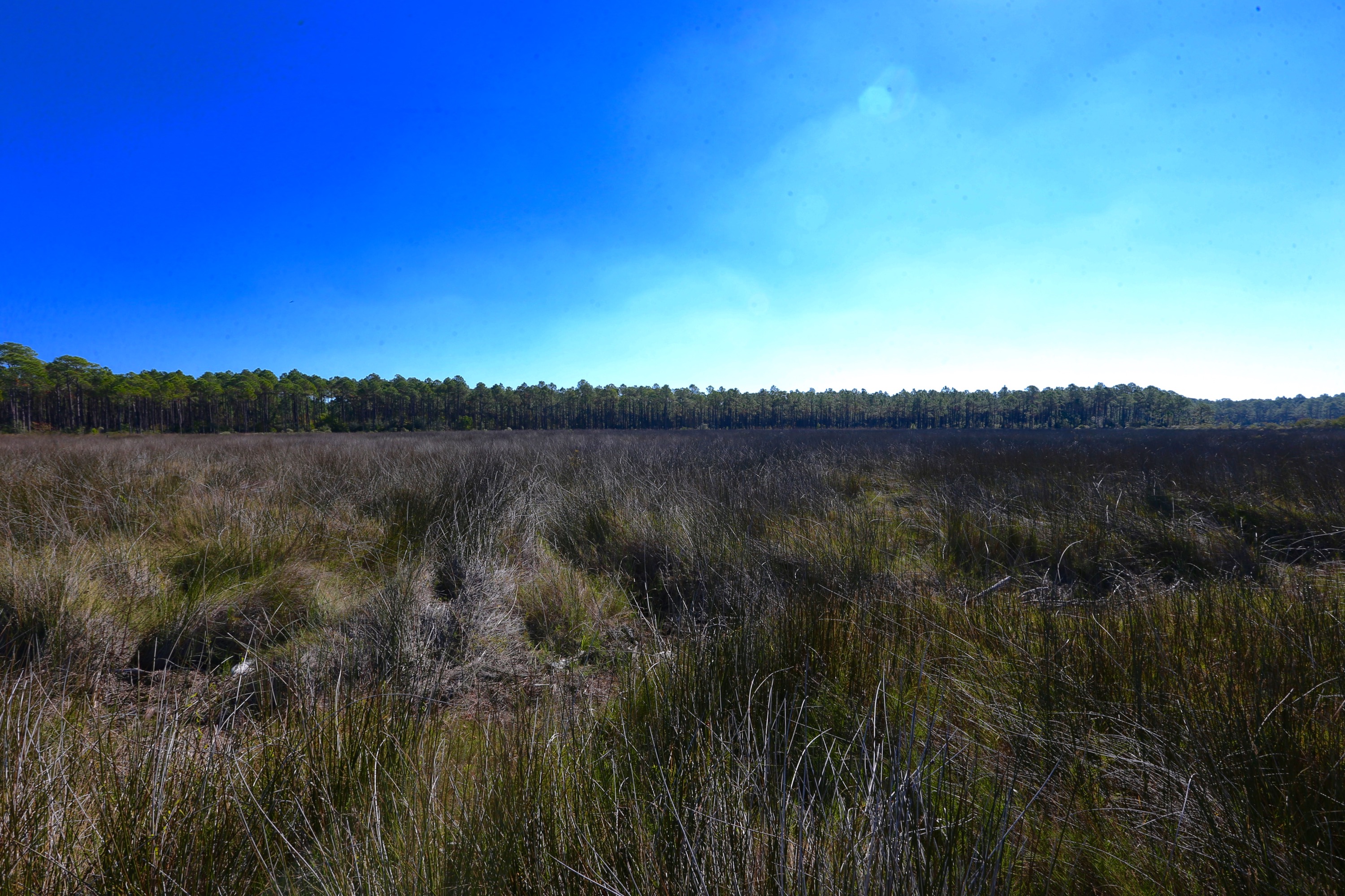 Alabama's BP projects - al.com