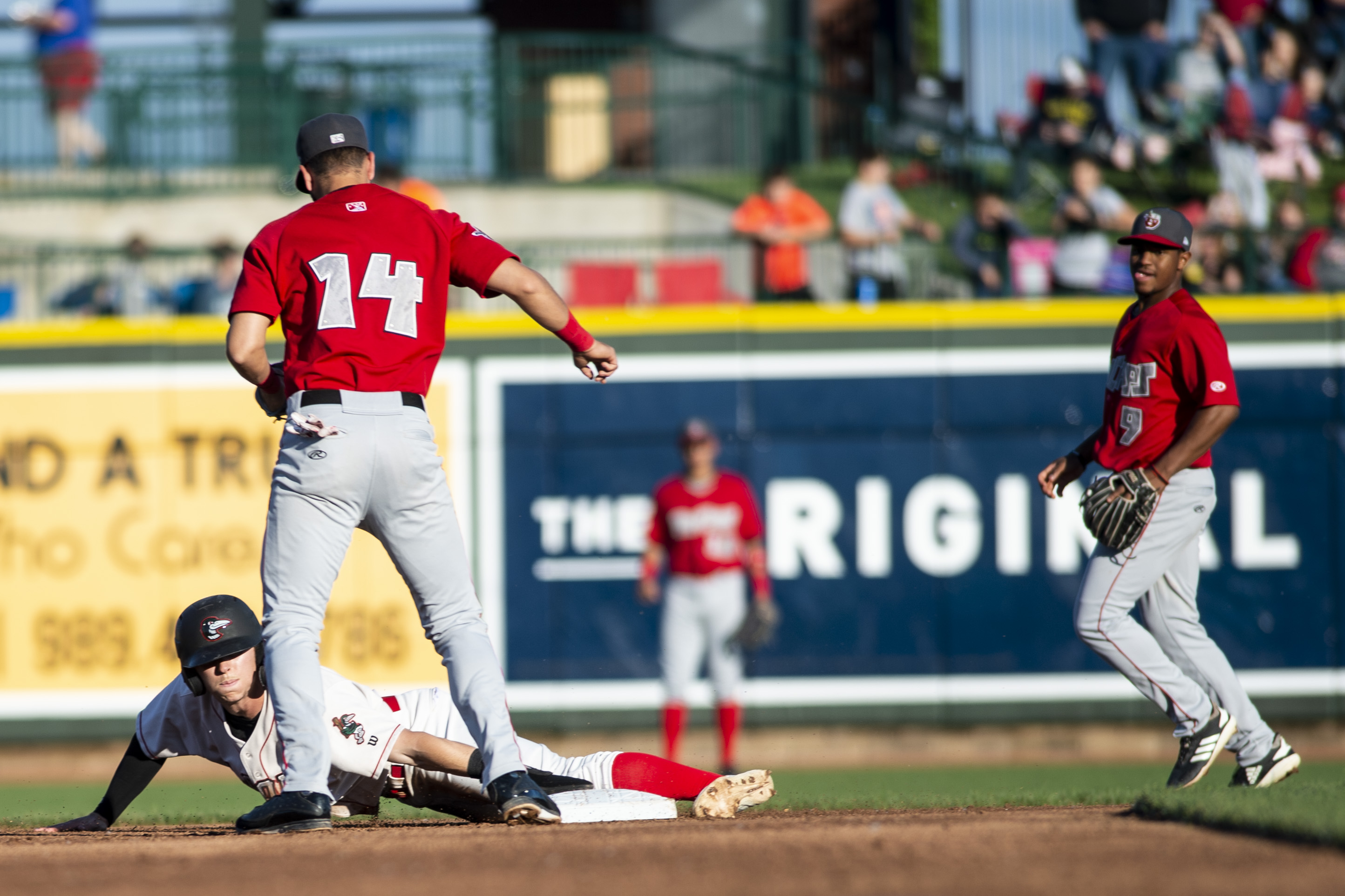 Great Lakes Loons take on the Fort Wayne Tincaps in first game of ...
