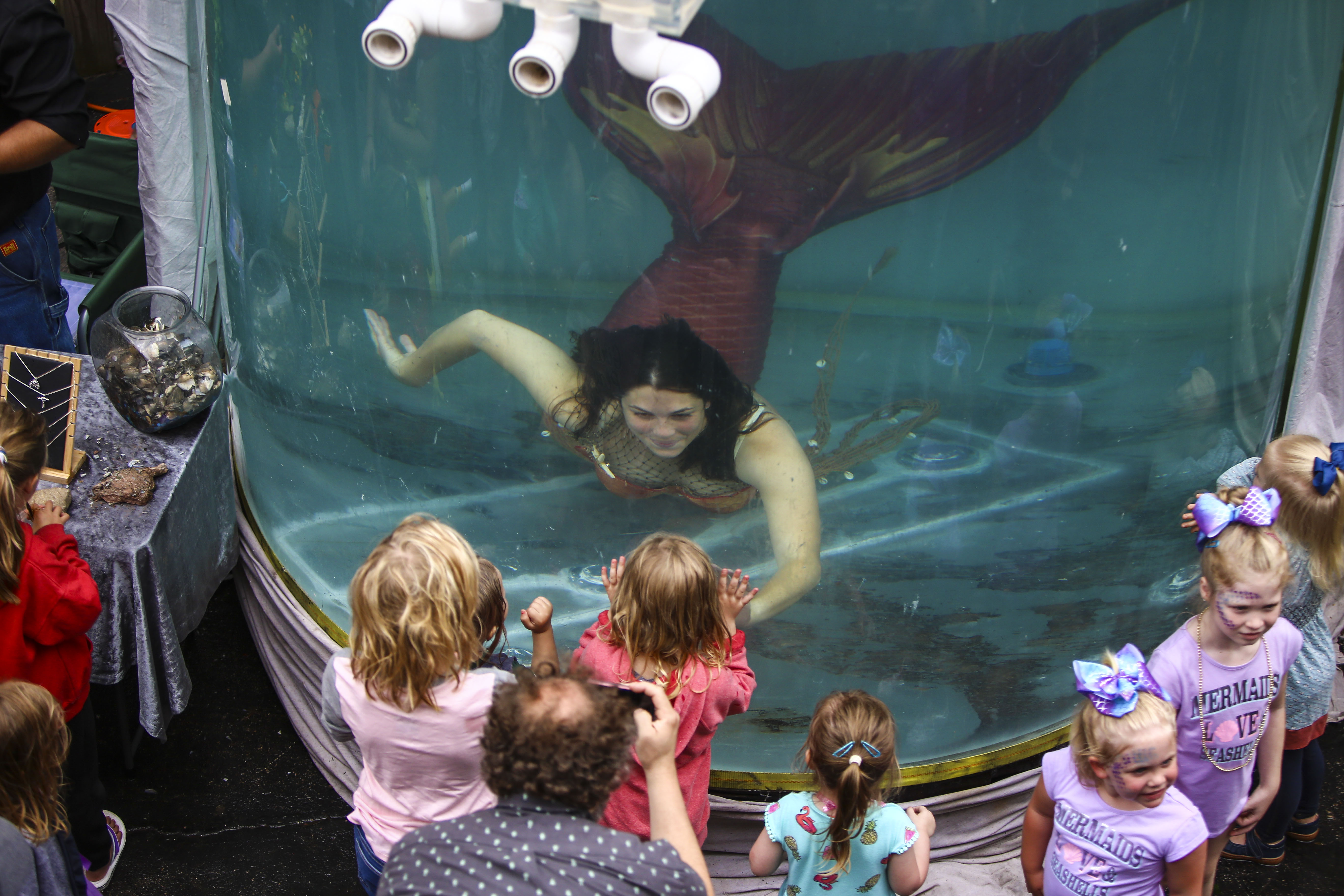 Mermaid Megafest joins South Haven's Harborfest - mlive.com