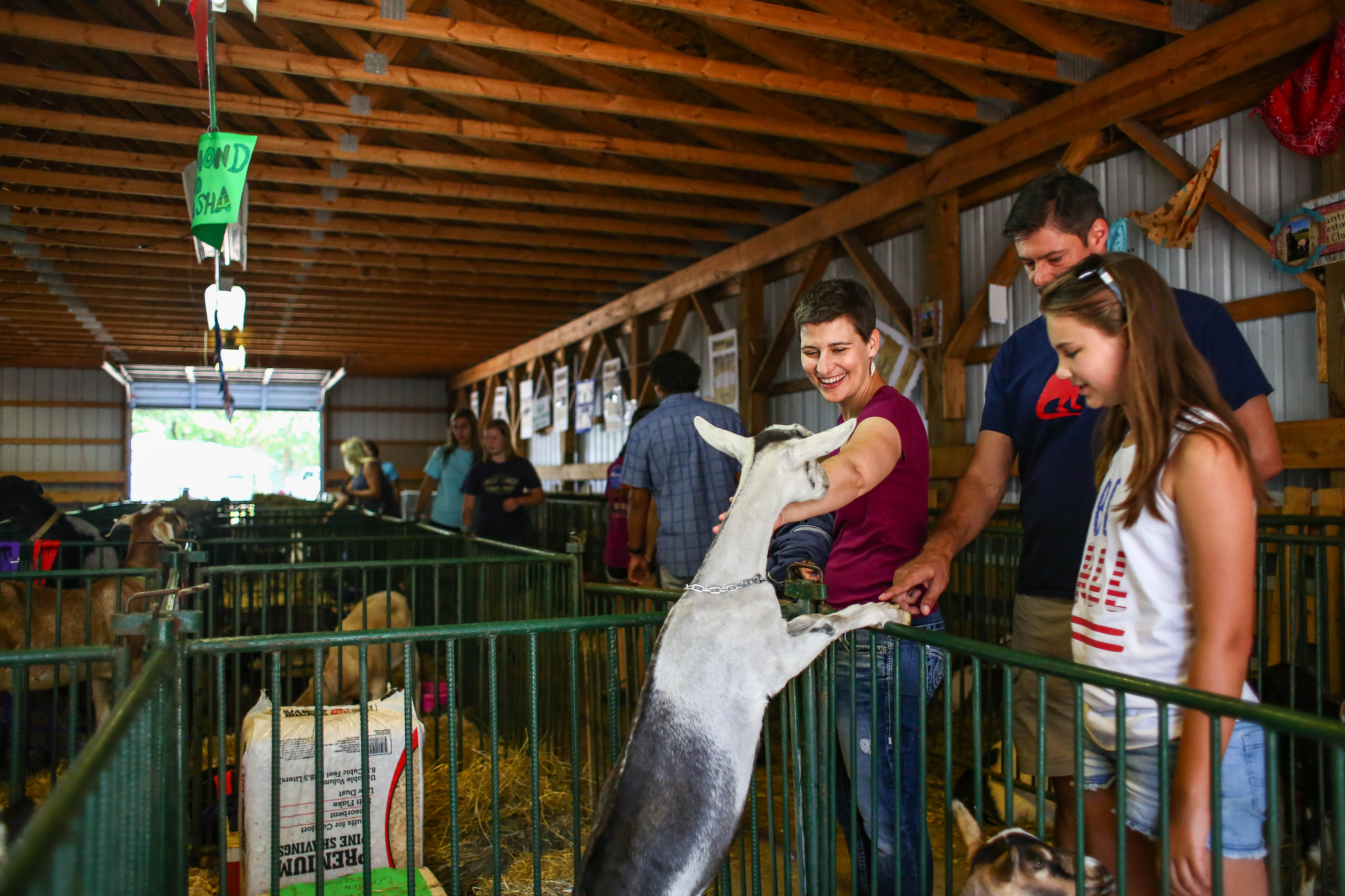 See photos from Muskegon County Fair 2019 - mlive.com