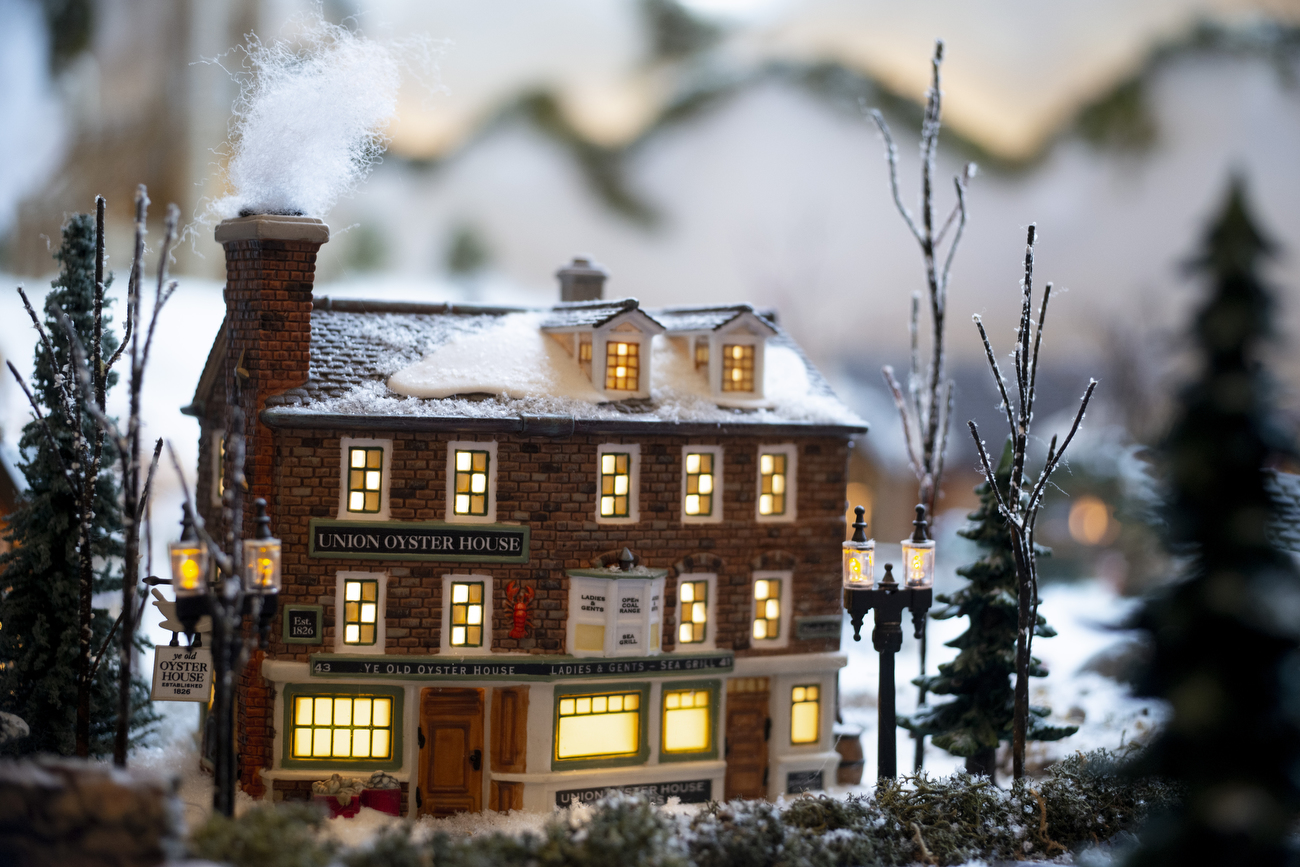 Plymouth woman builds enormous Dickensian model village display over ...