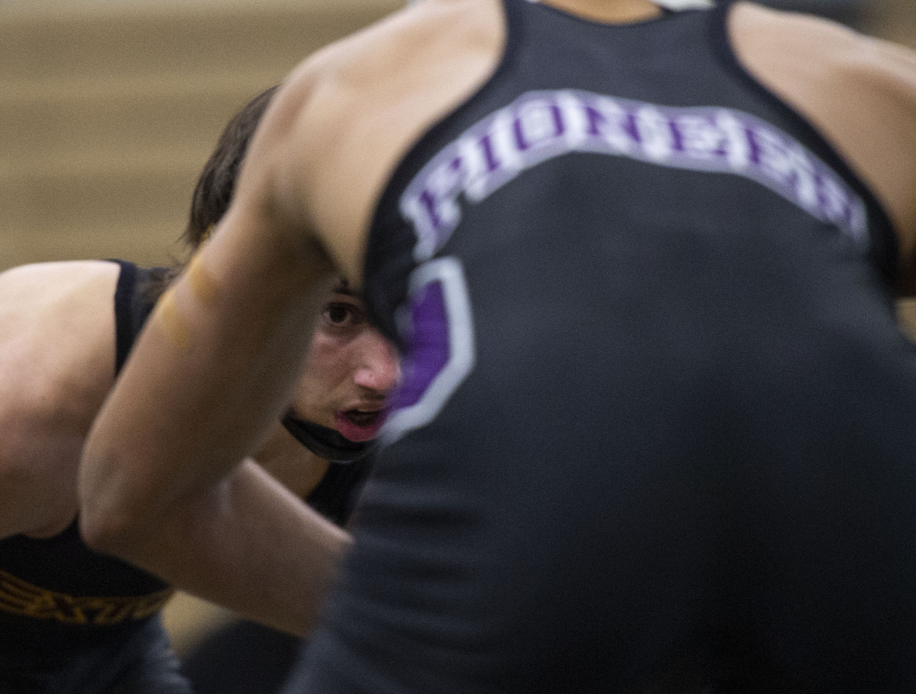 Division 1 wrestling district finals - mlive.com