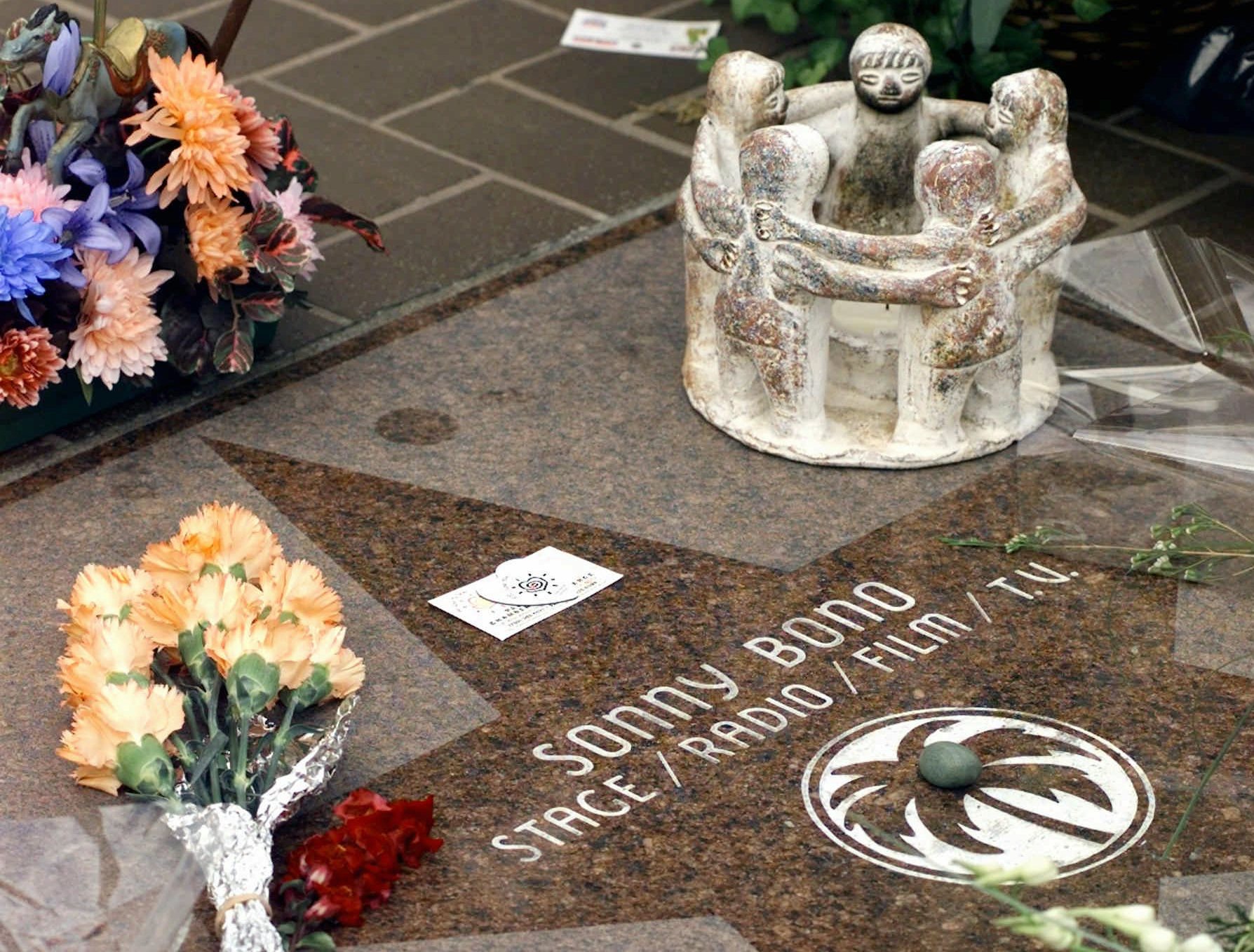 Sonny Bono - pennlive.com