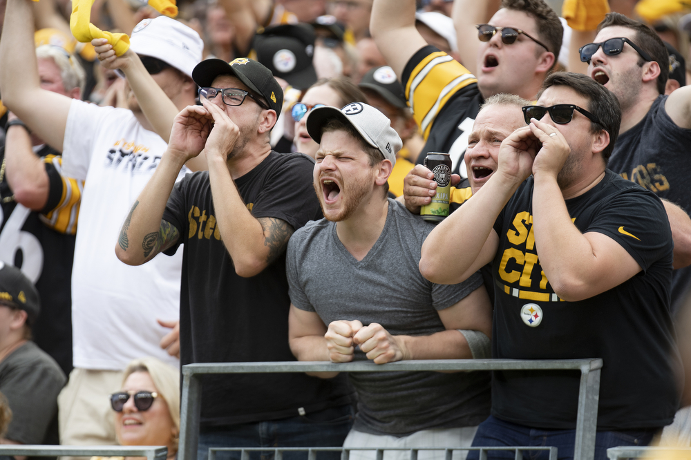 Faces in the Crowd at Seattle Seahawks vs. Pittsburgh Steelers ...